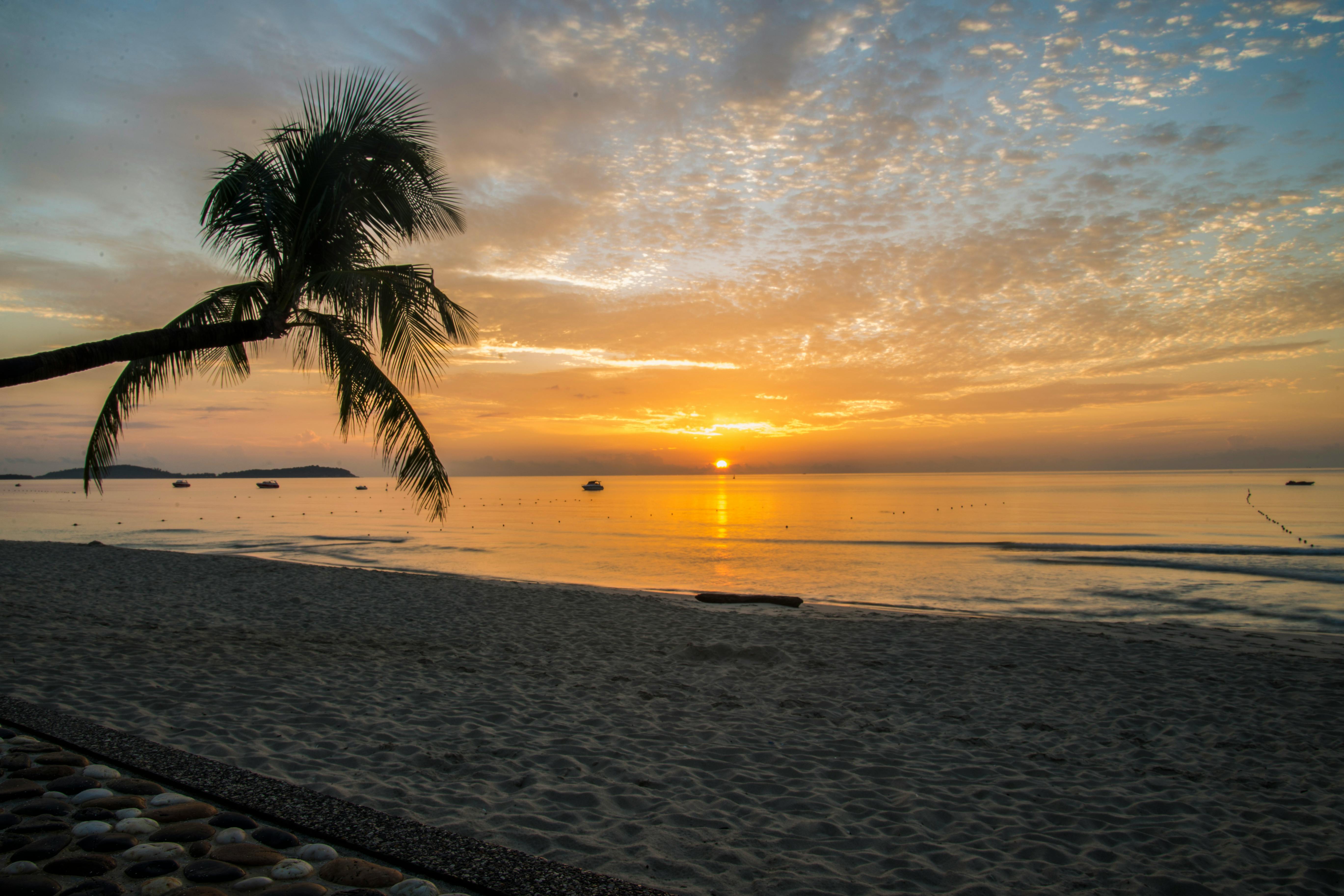 Sky Cinematic Shot Photos, Download The BEST Free Sky Cinematic Shot ...