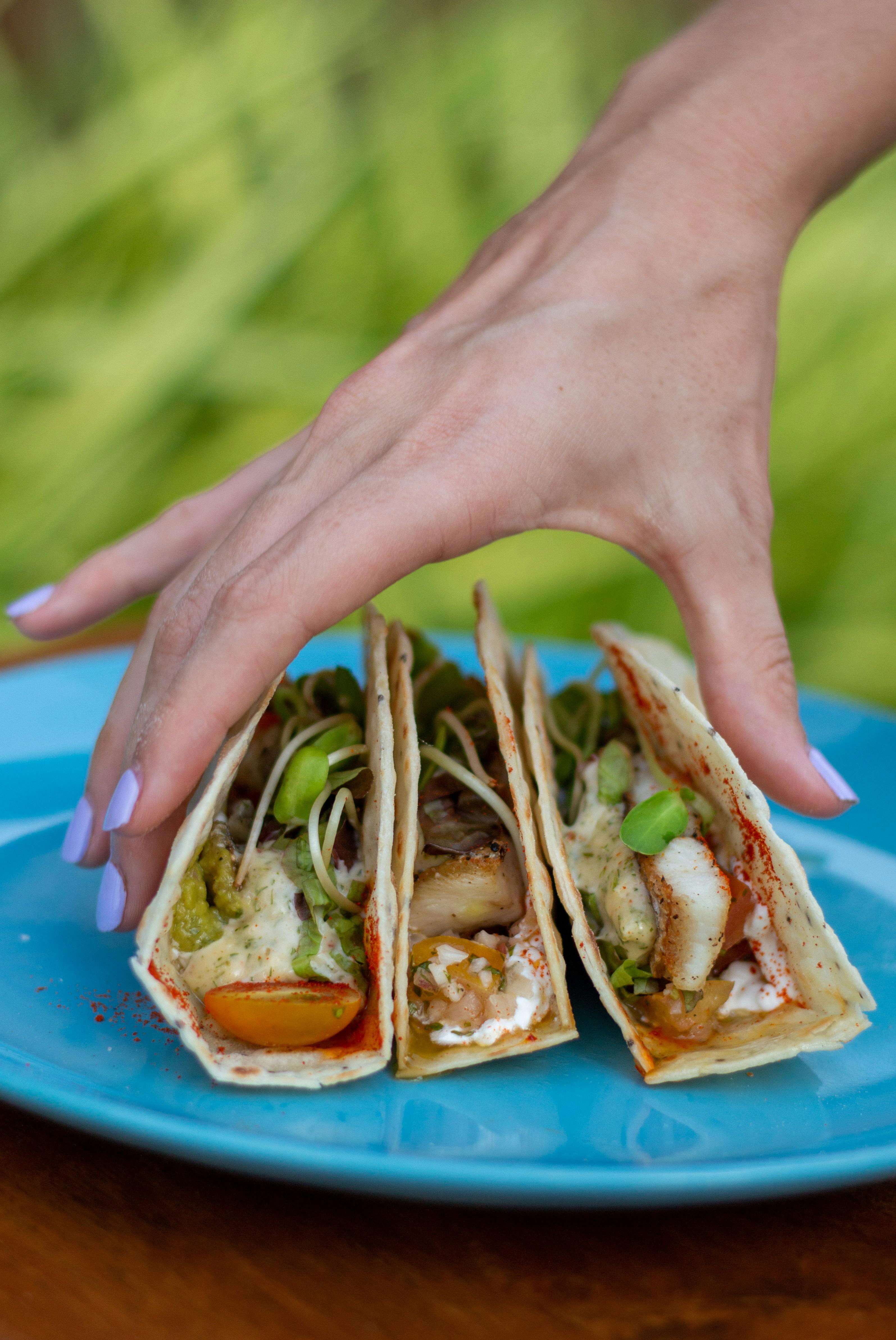 Tacos on Blue Ceramic Plate · Free Stock Photo