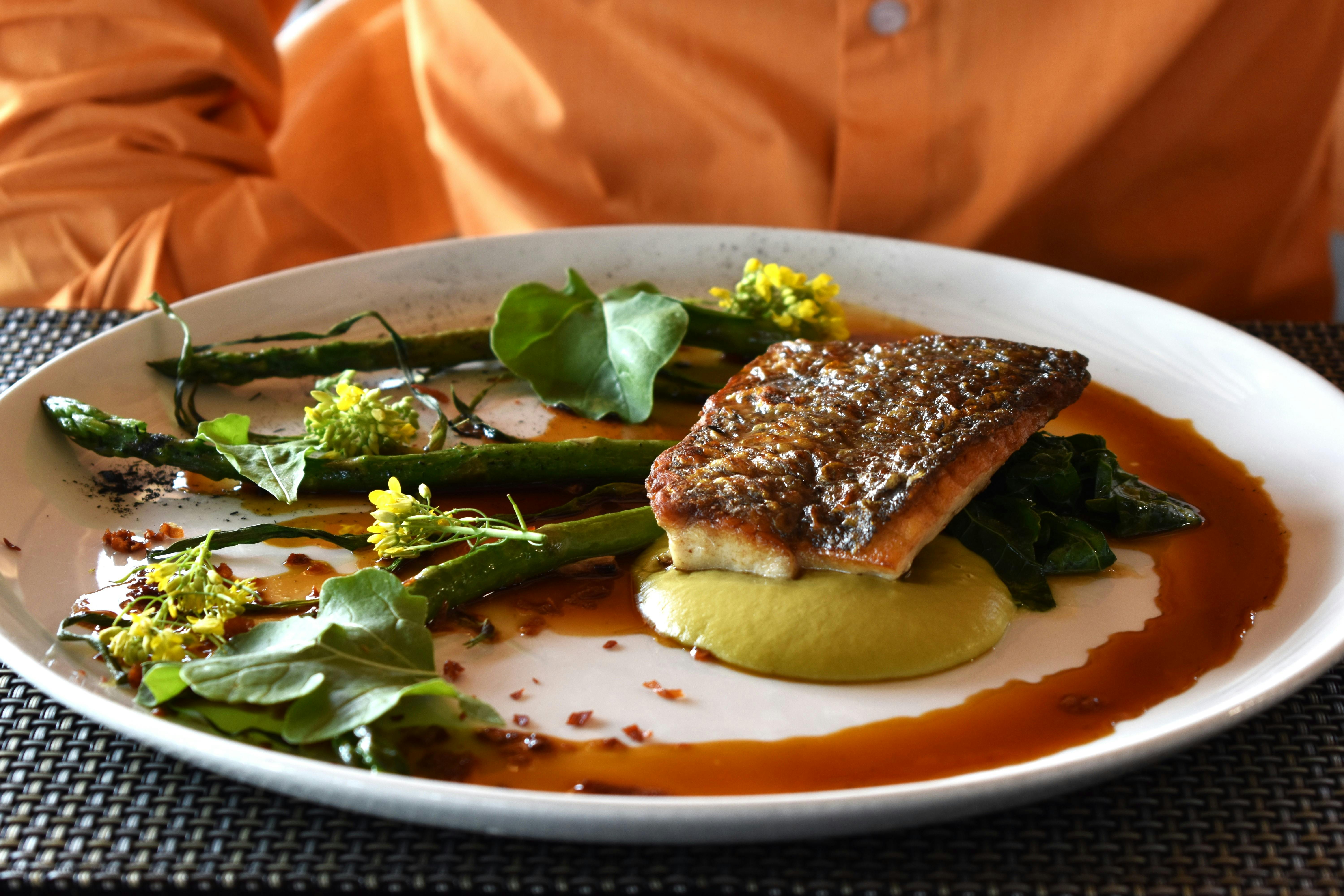 Salmon Dish with Vegetables · Free Stock Photo