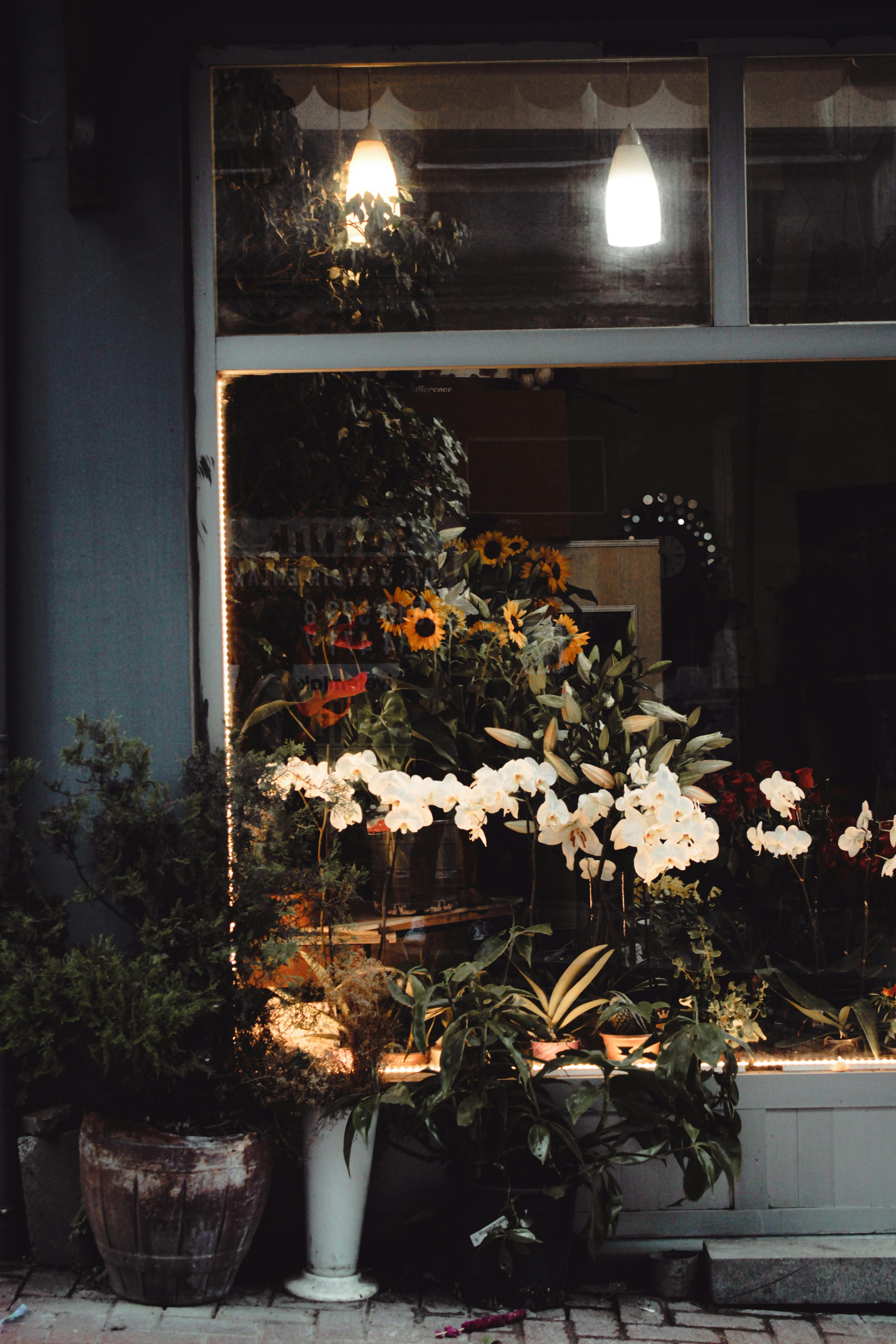 Floral Arrangement Displayed in Flower Shop Window · Free Stock Photo