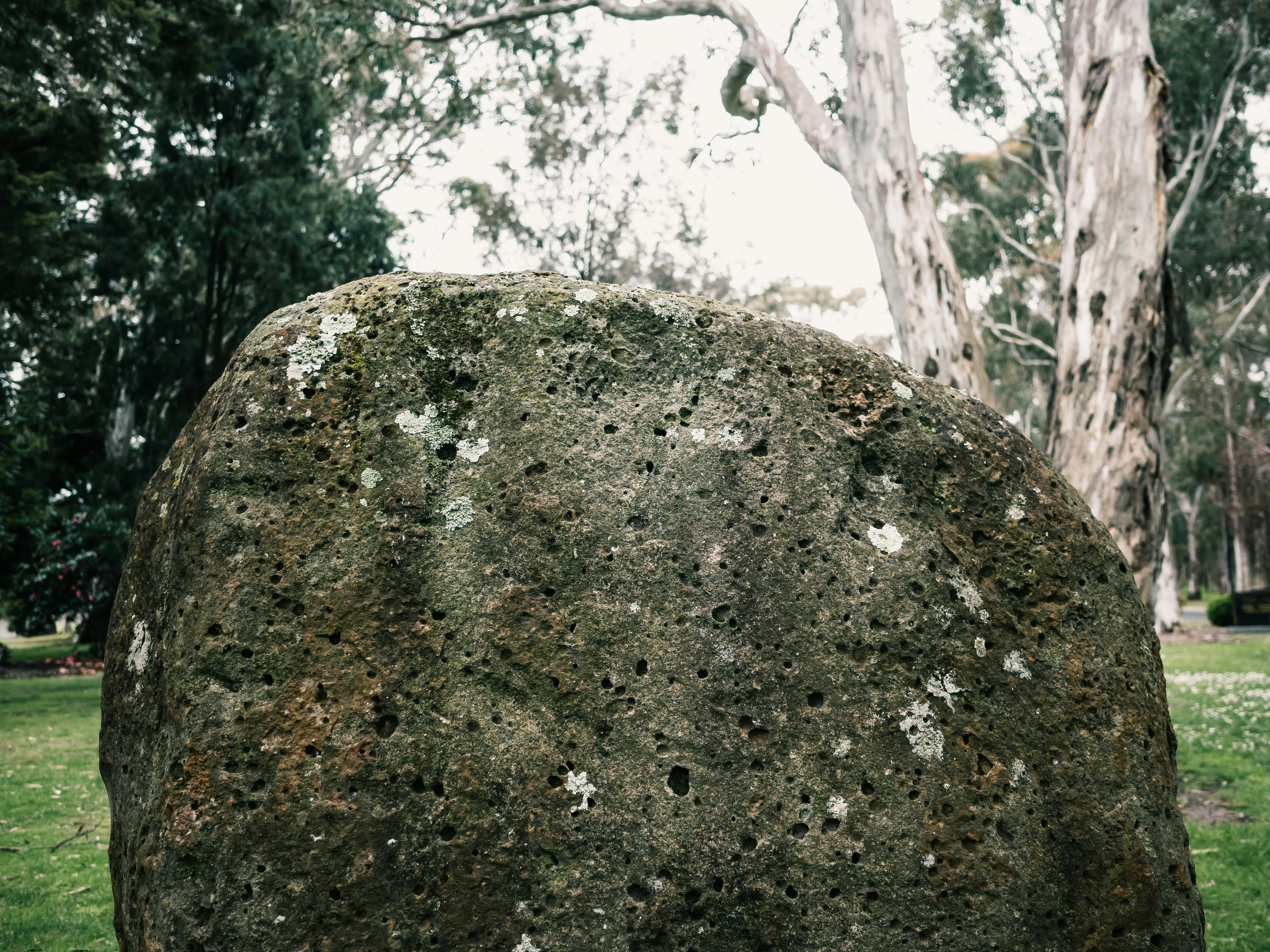 Rock Boulder in a Garden Park · Free Stock Photo