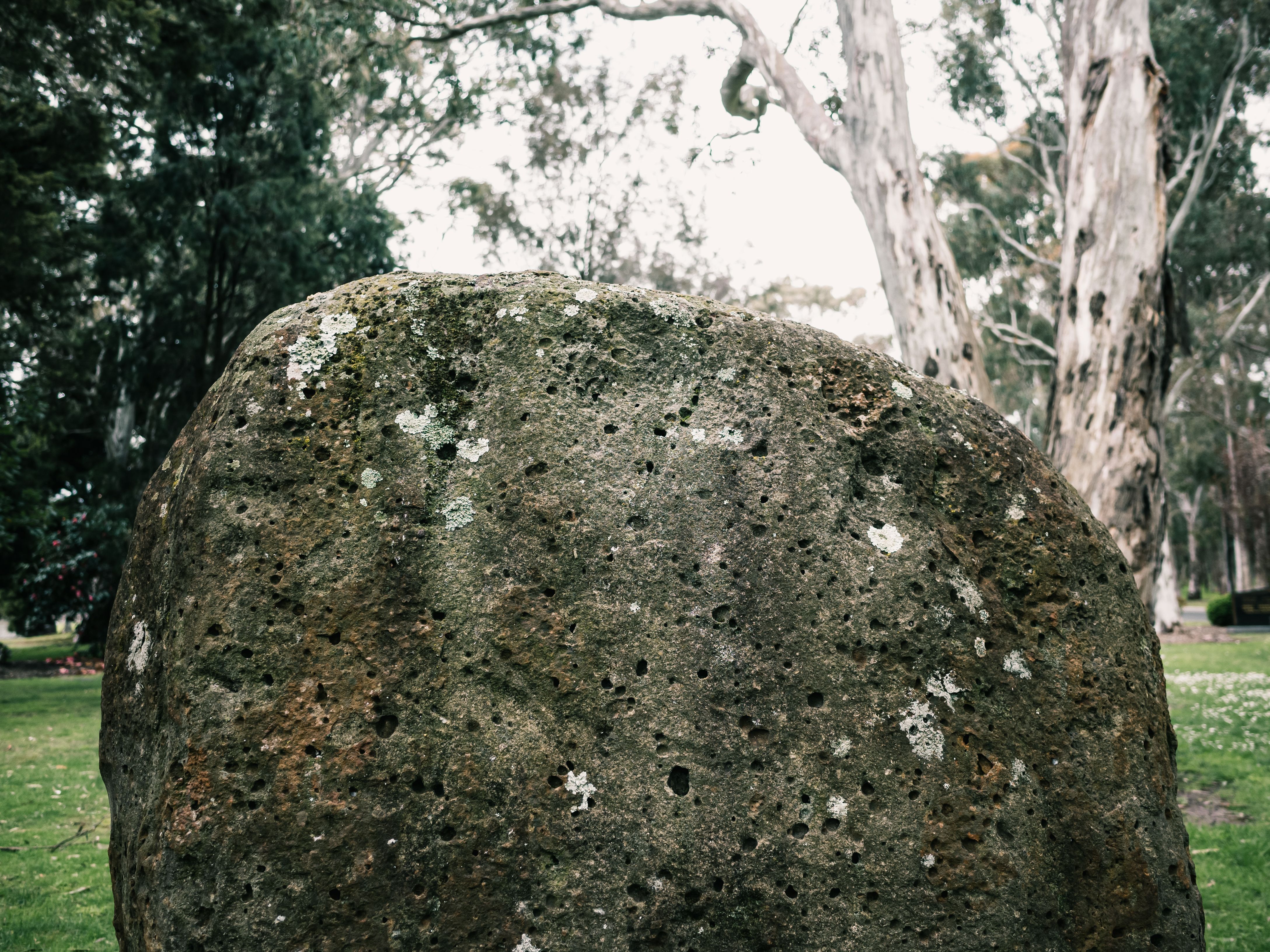 Close-up Photo of a Rock · Free Stock Photo