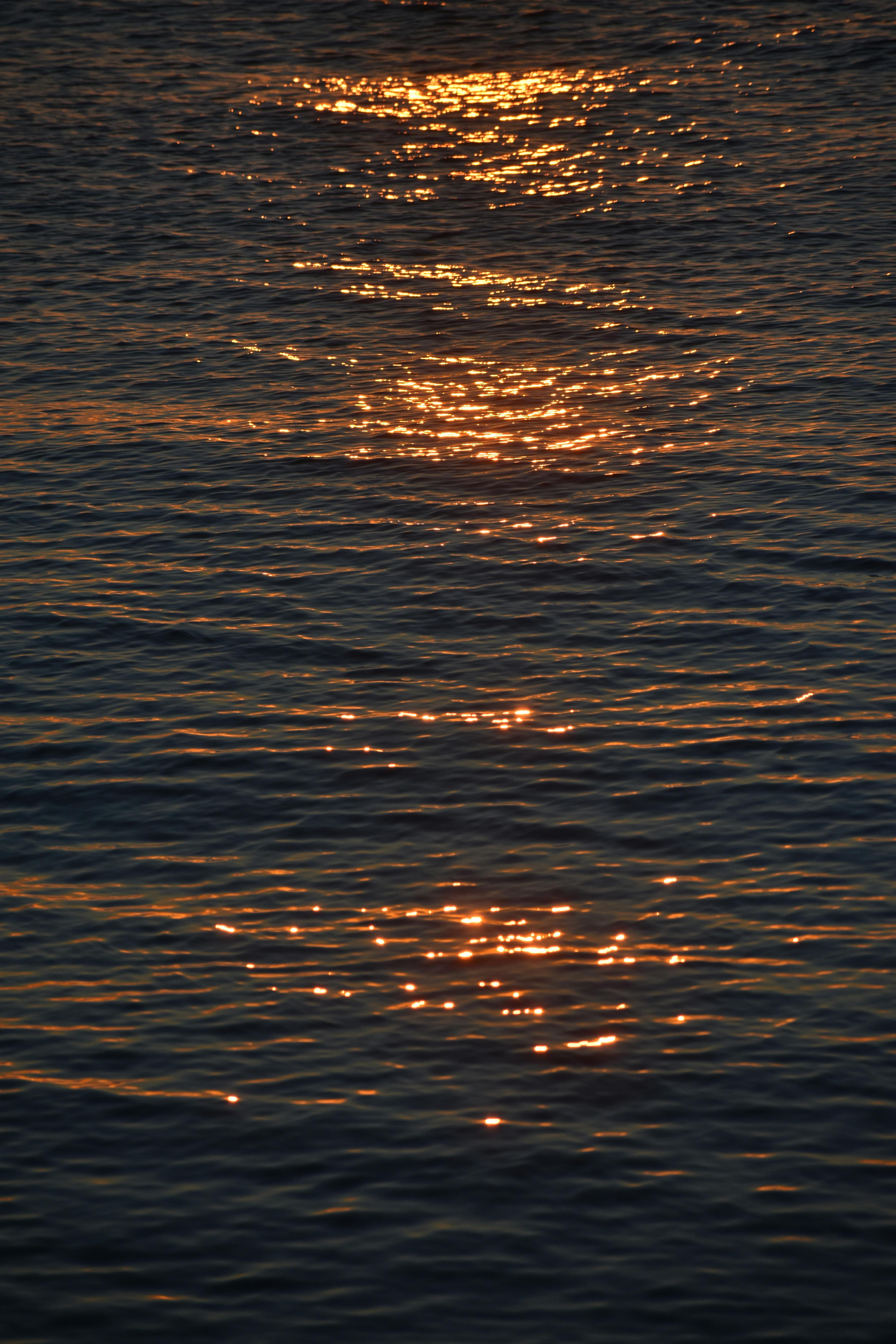Calm Water on the Sea · Free Stock Photo