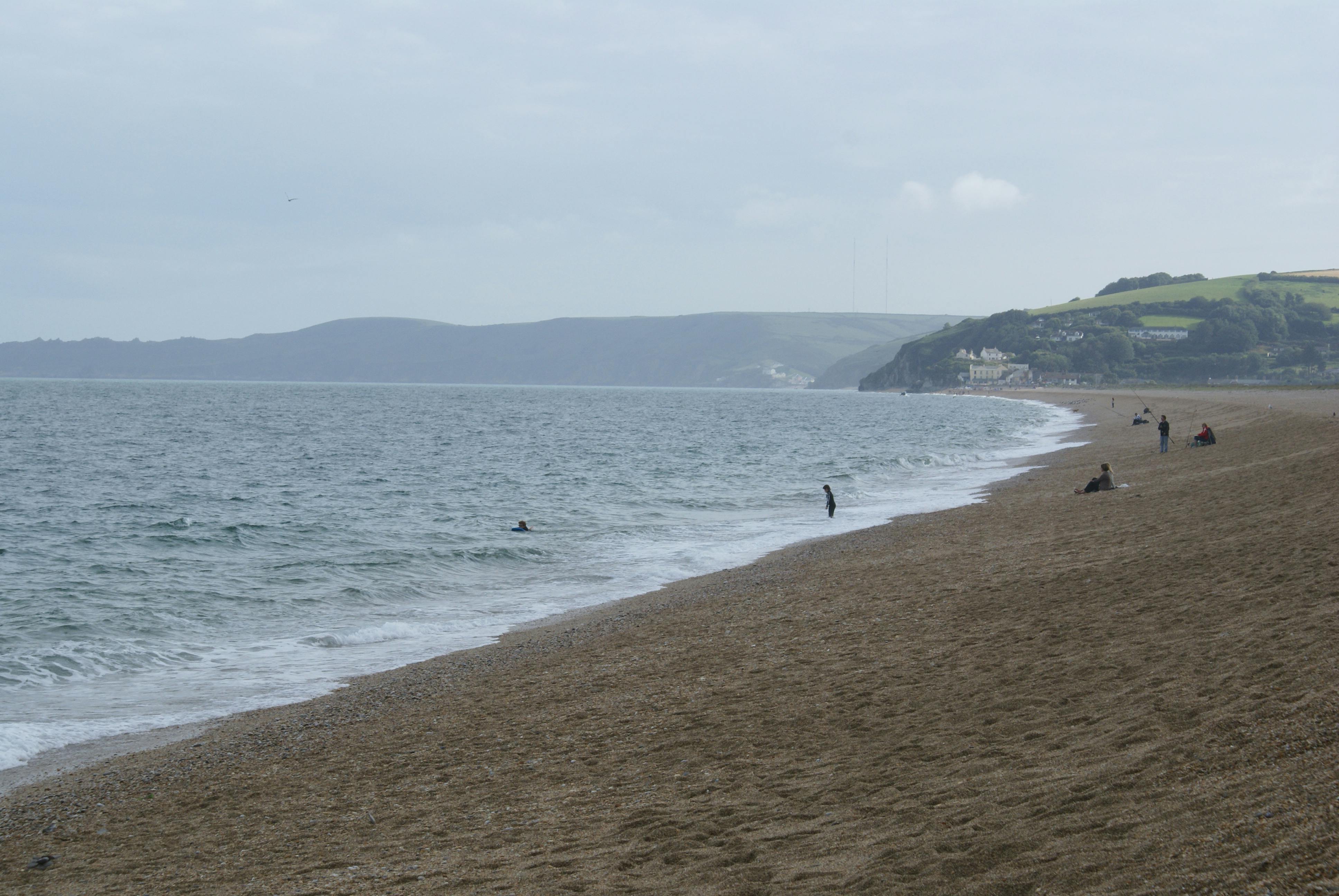 Wild 21 Photos & Videos Collected by James Goddard