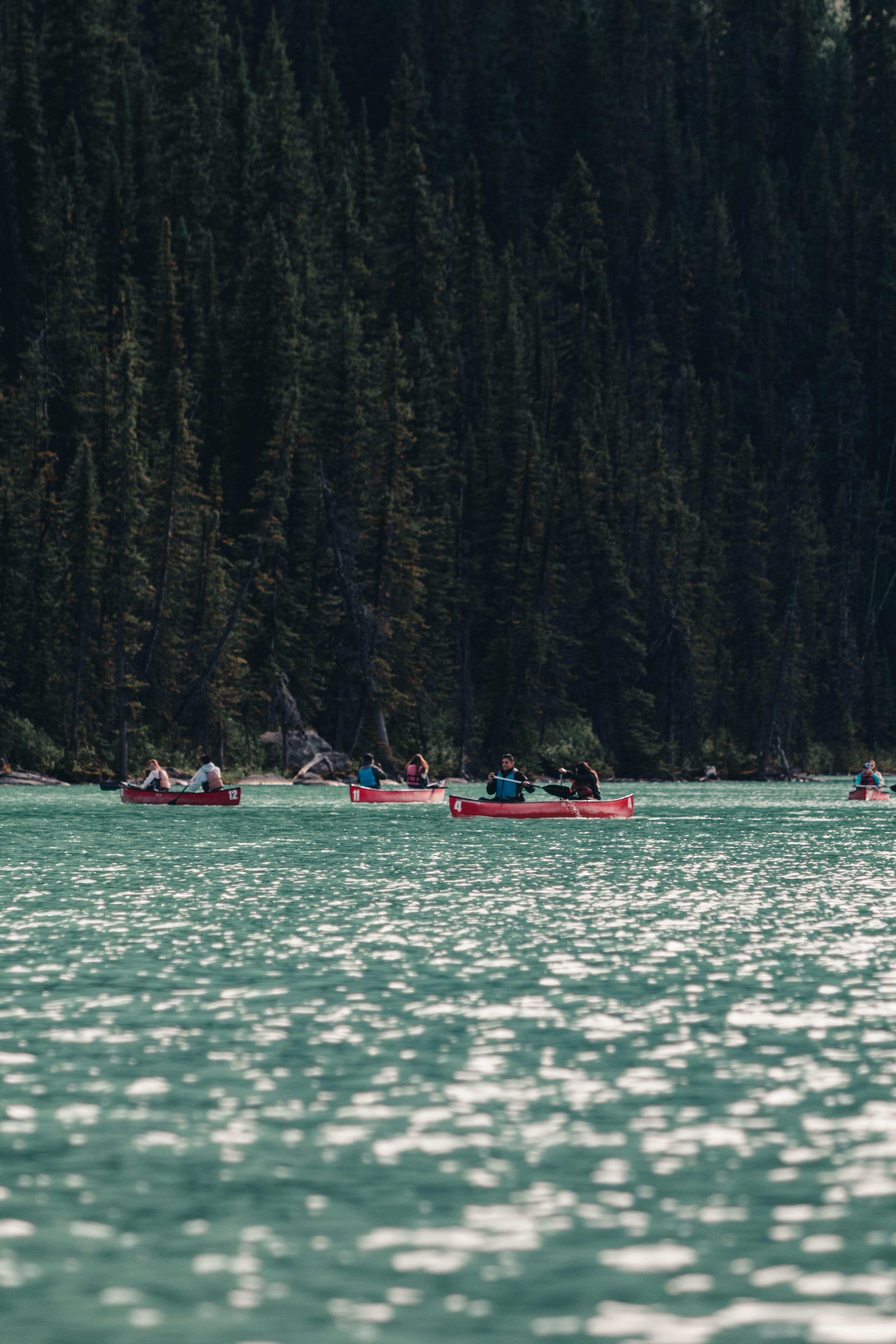 The Canoers of Lake Louise · Free Stock Photo