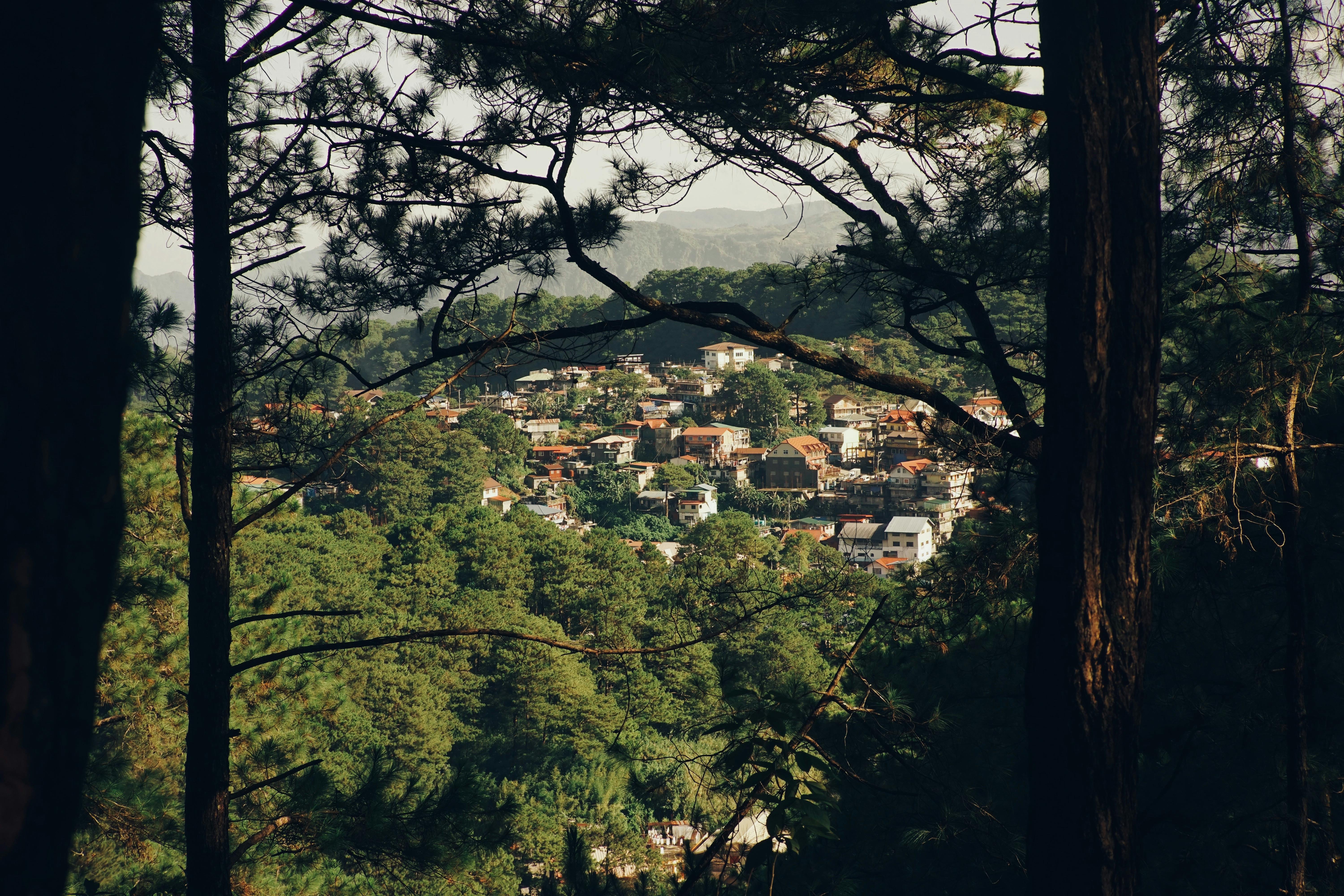 View from Forest on Houses in Mountains Landscape · Free Stock Photo