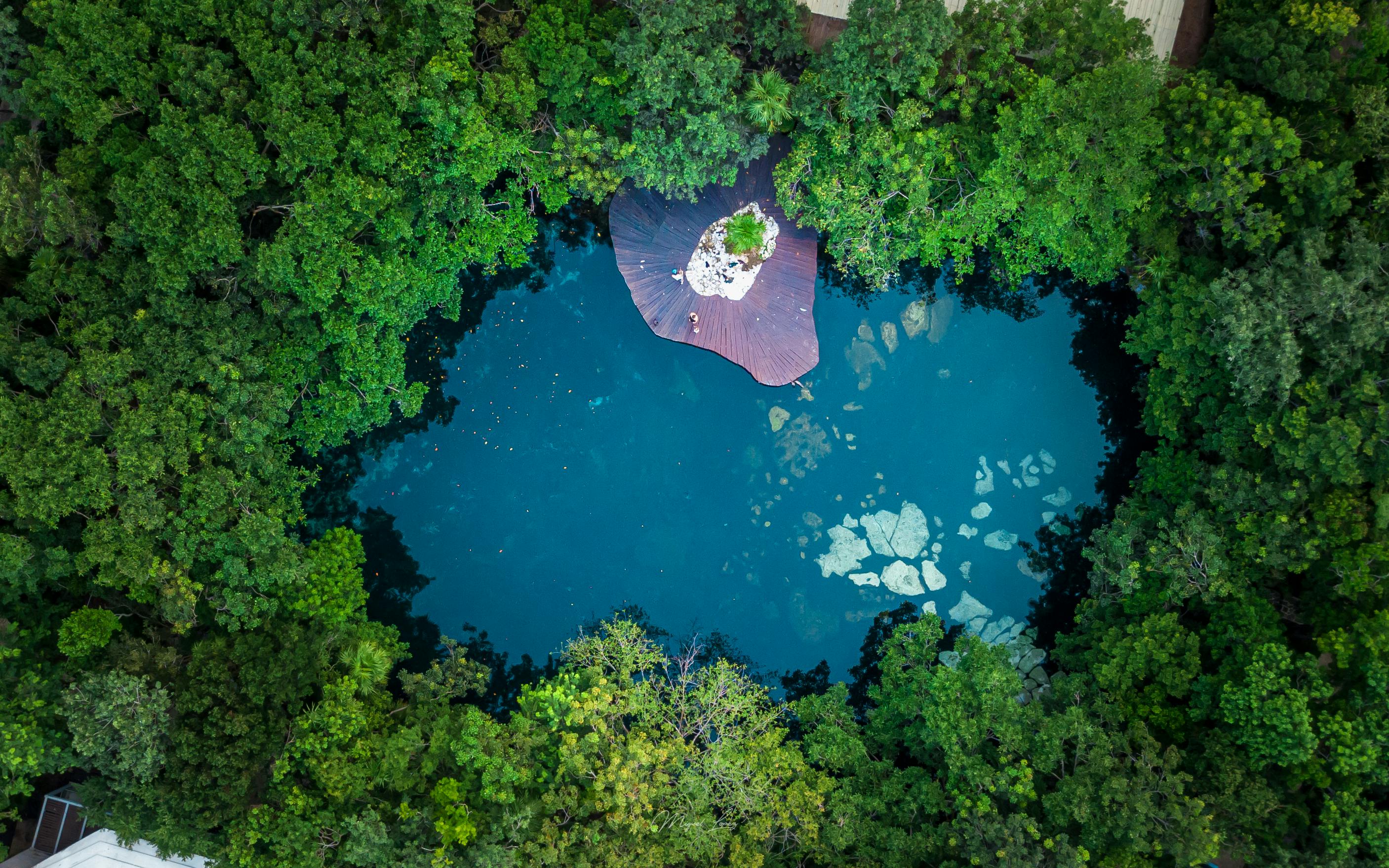 Aerial View of Pond Between Trees · Free Stock Photo