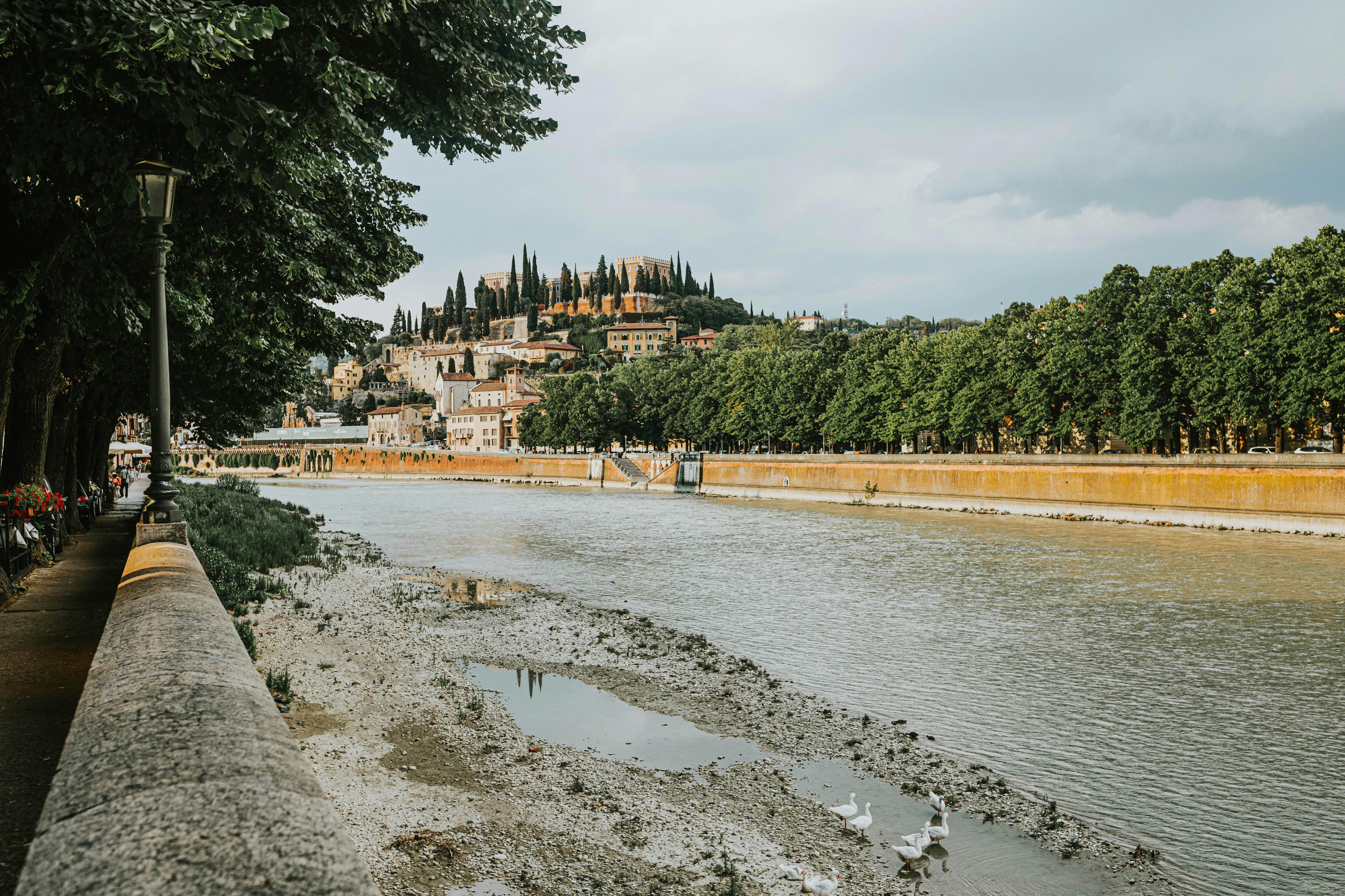 Modern Buildings near River · Free Stock Photo