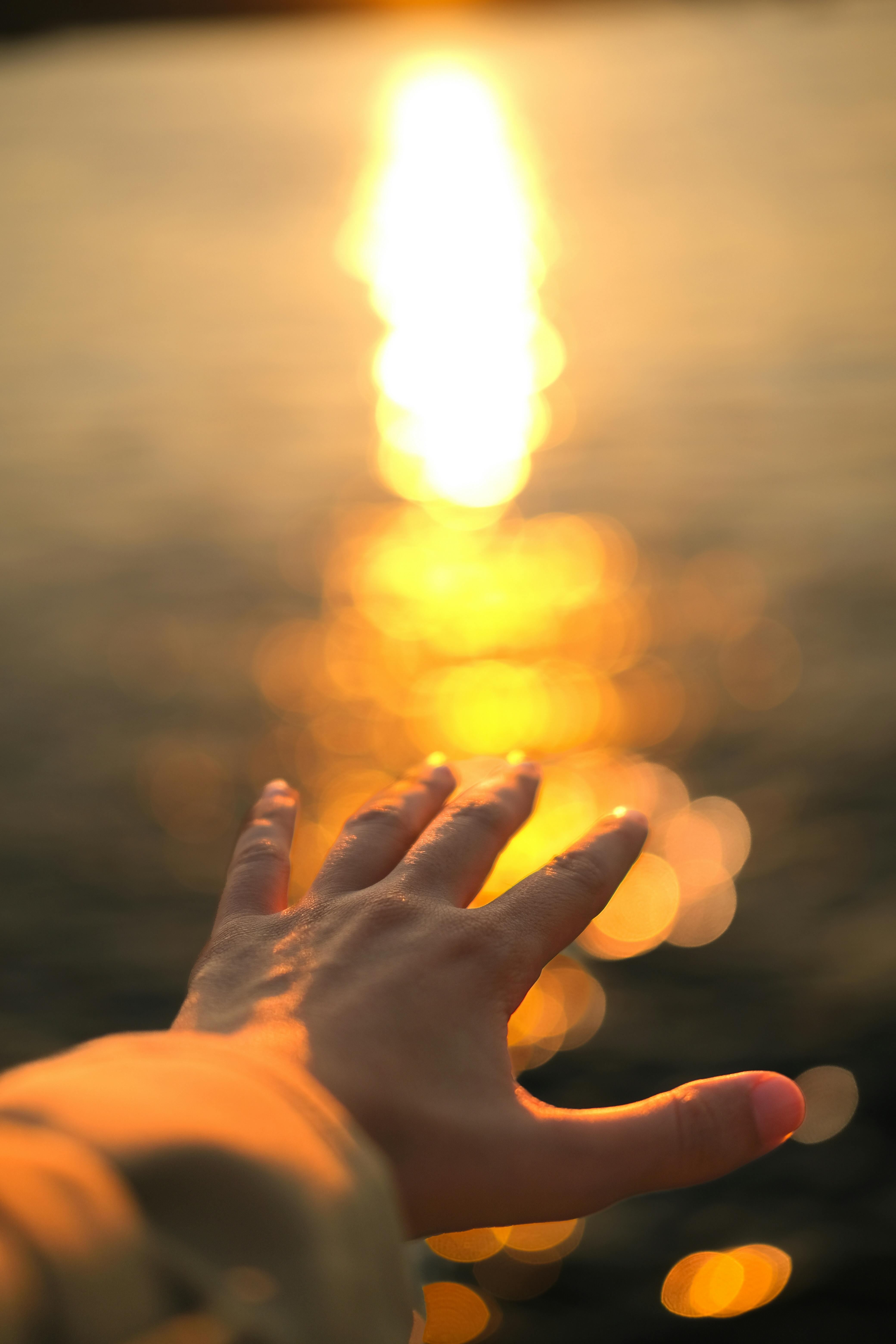 Close-Up Shot of a Hand During Golden Hour · Free Stock Photo