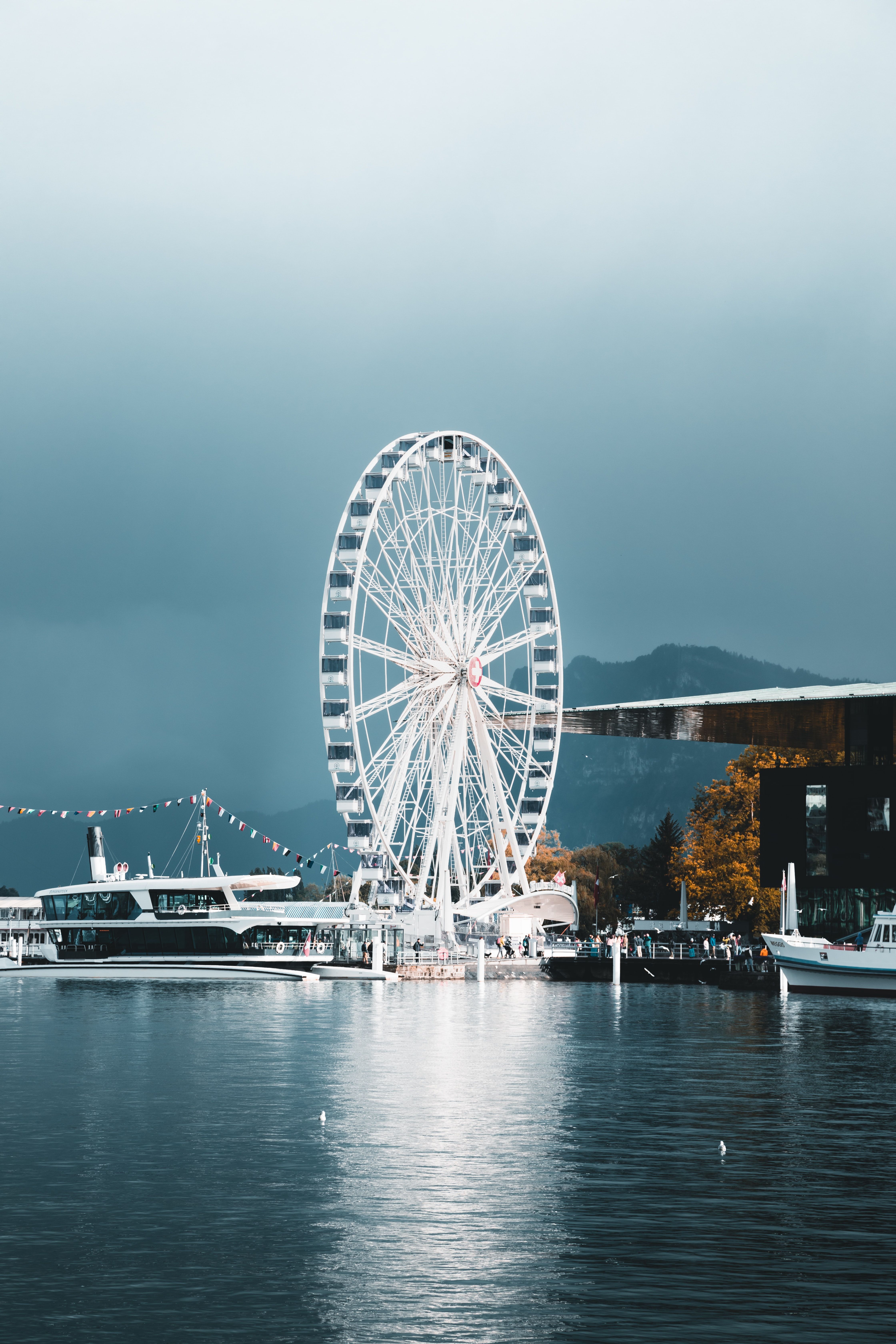 Ferris Wheel Beside the Ocean · Free Stock Photo