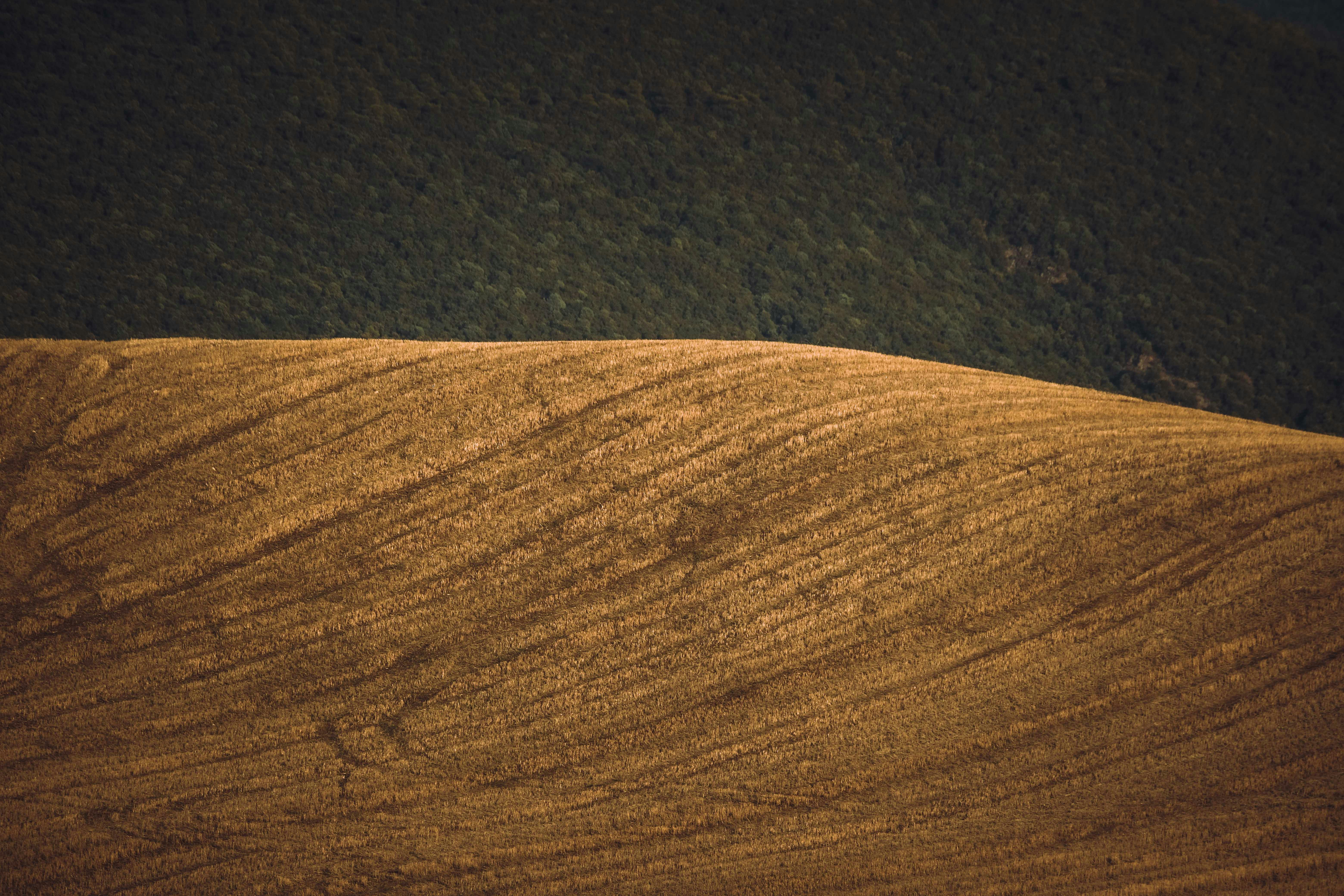 Cropland in Mountains Landscape · Free Stock Photo