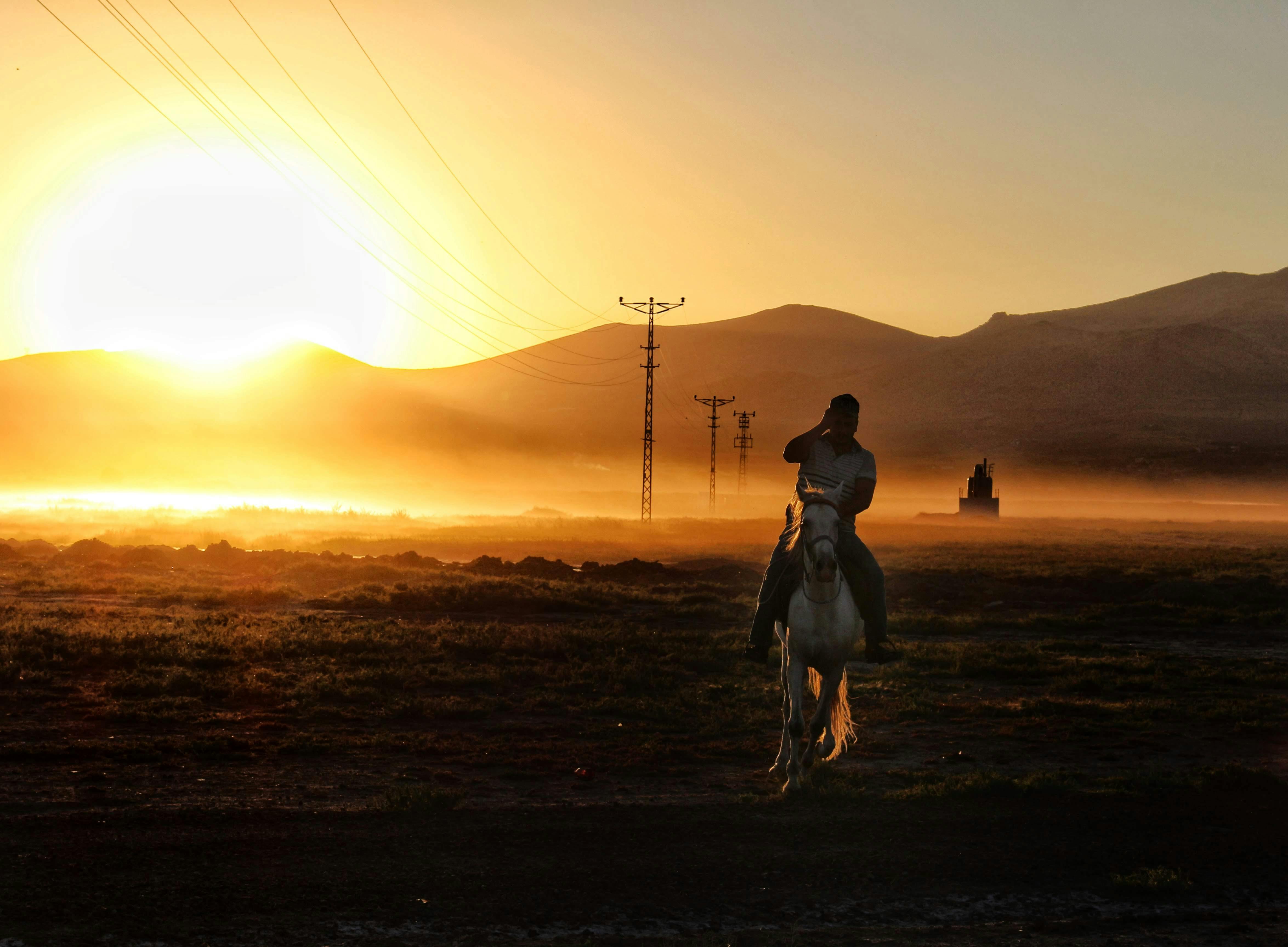 A Person Riding a Horse · Free Stock Photo