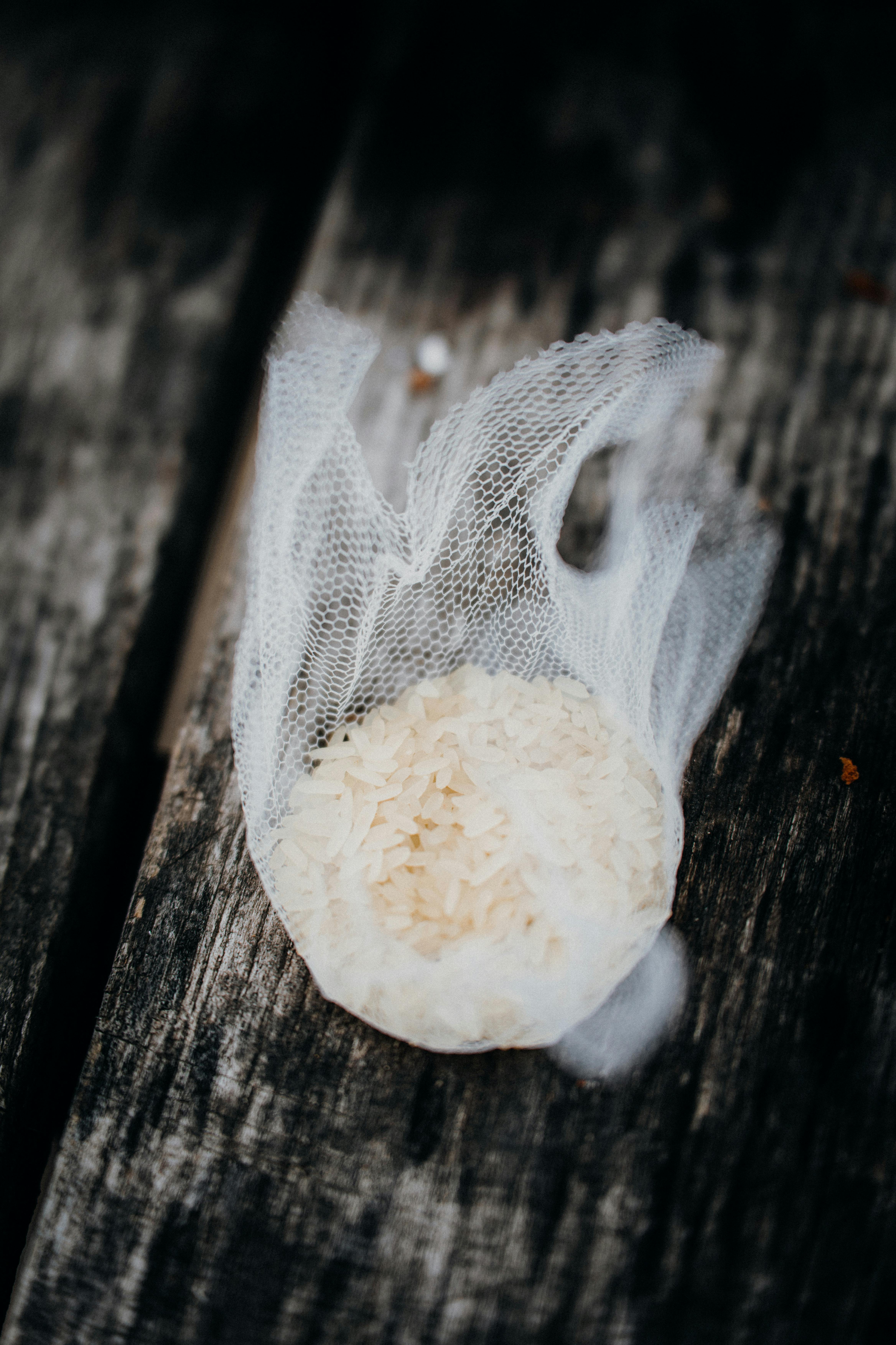 Blades of Rice · Free Stock Photo