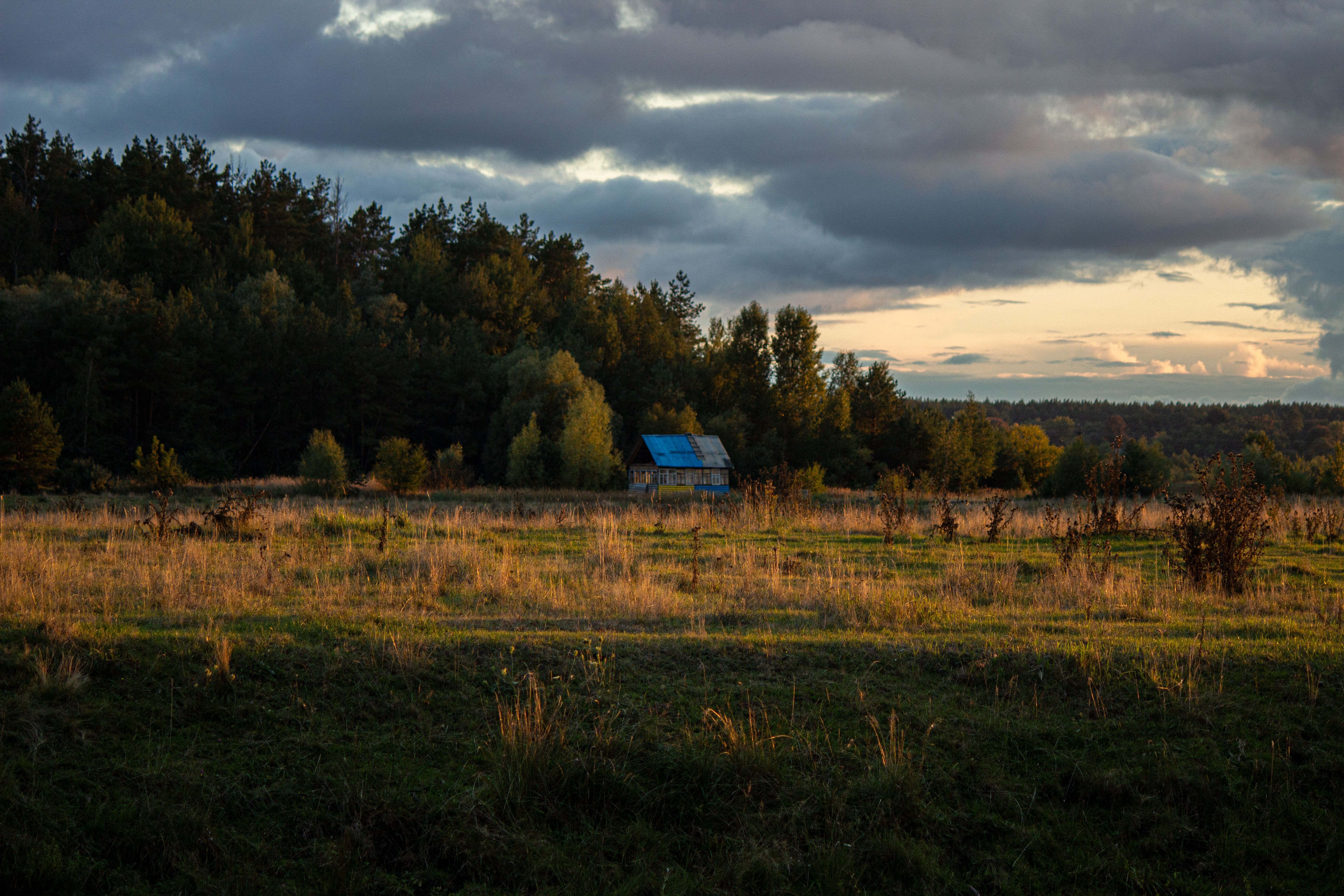 House on a Grass Field · Free Stock Photo
