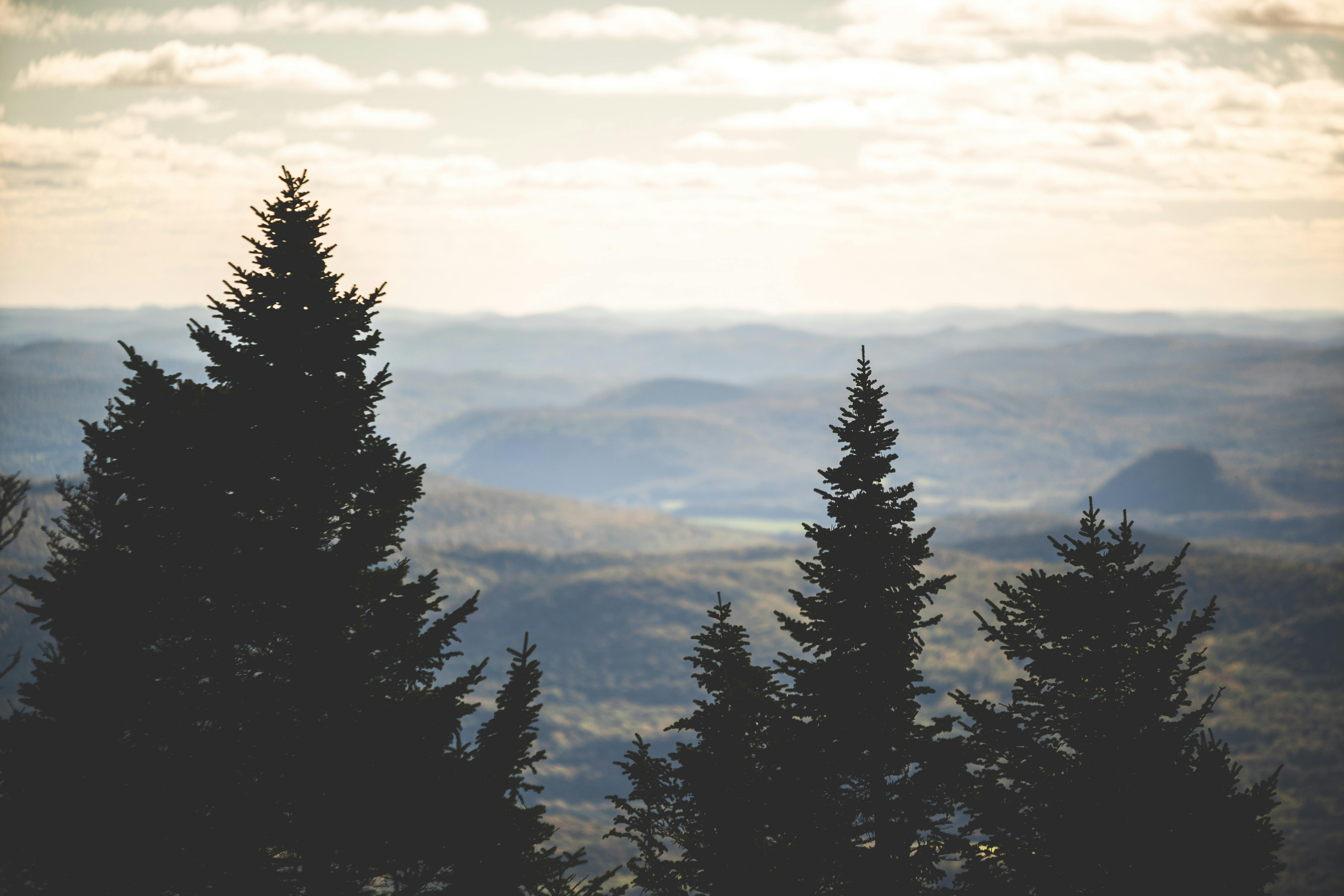 Pleasing View Photos, Download Free Pleasing View Stock Photos & HD Images