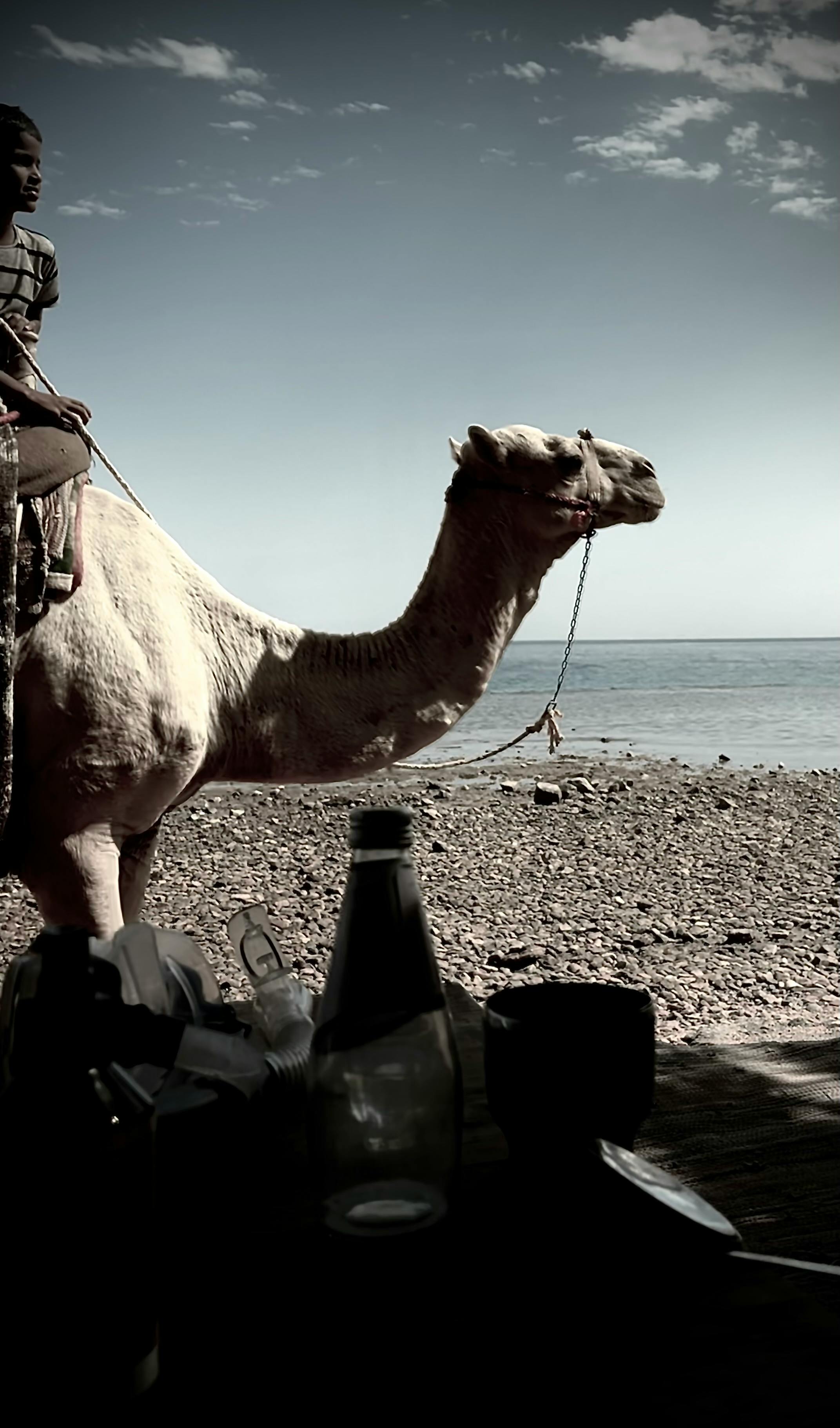 Ahmed Taha - Photography