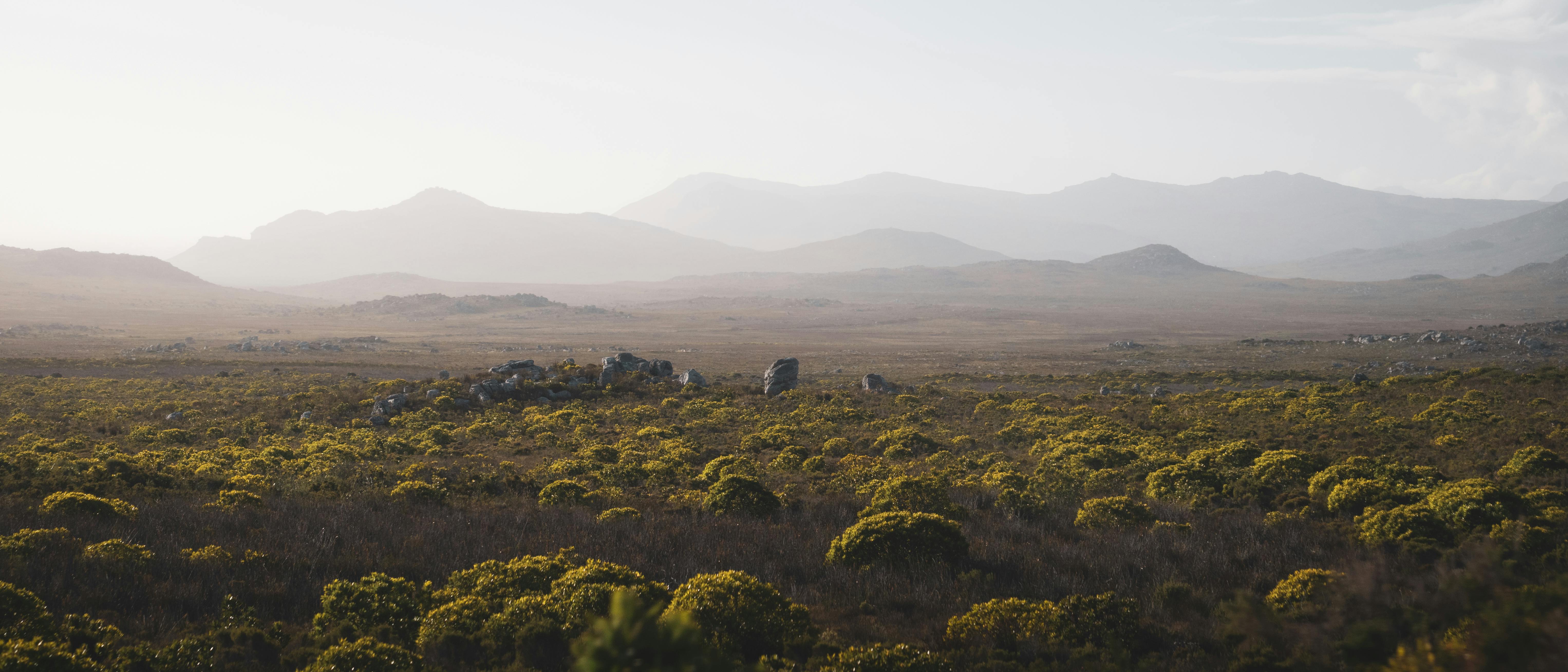 Cangkir Teh Pf Photos, Download The BEST Free Cangkir Teh Pf Stock ...