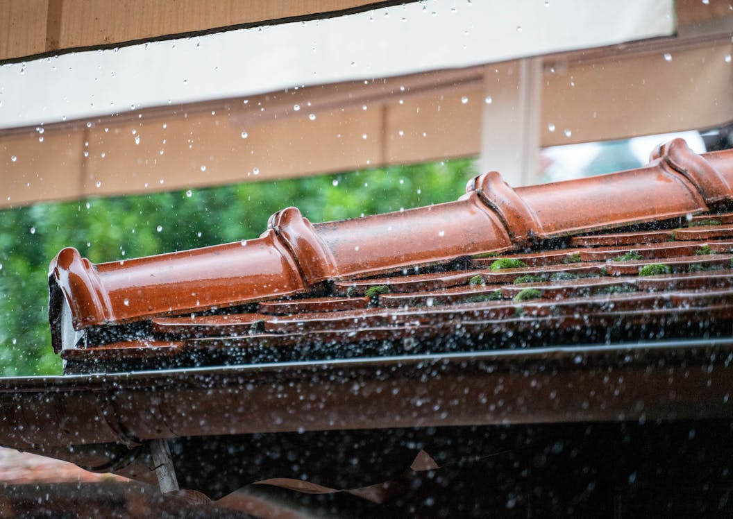 Easy Roof Rafter Span Chart and Spacing Guide for Builders