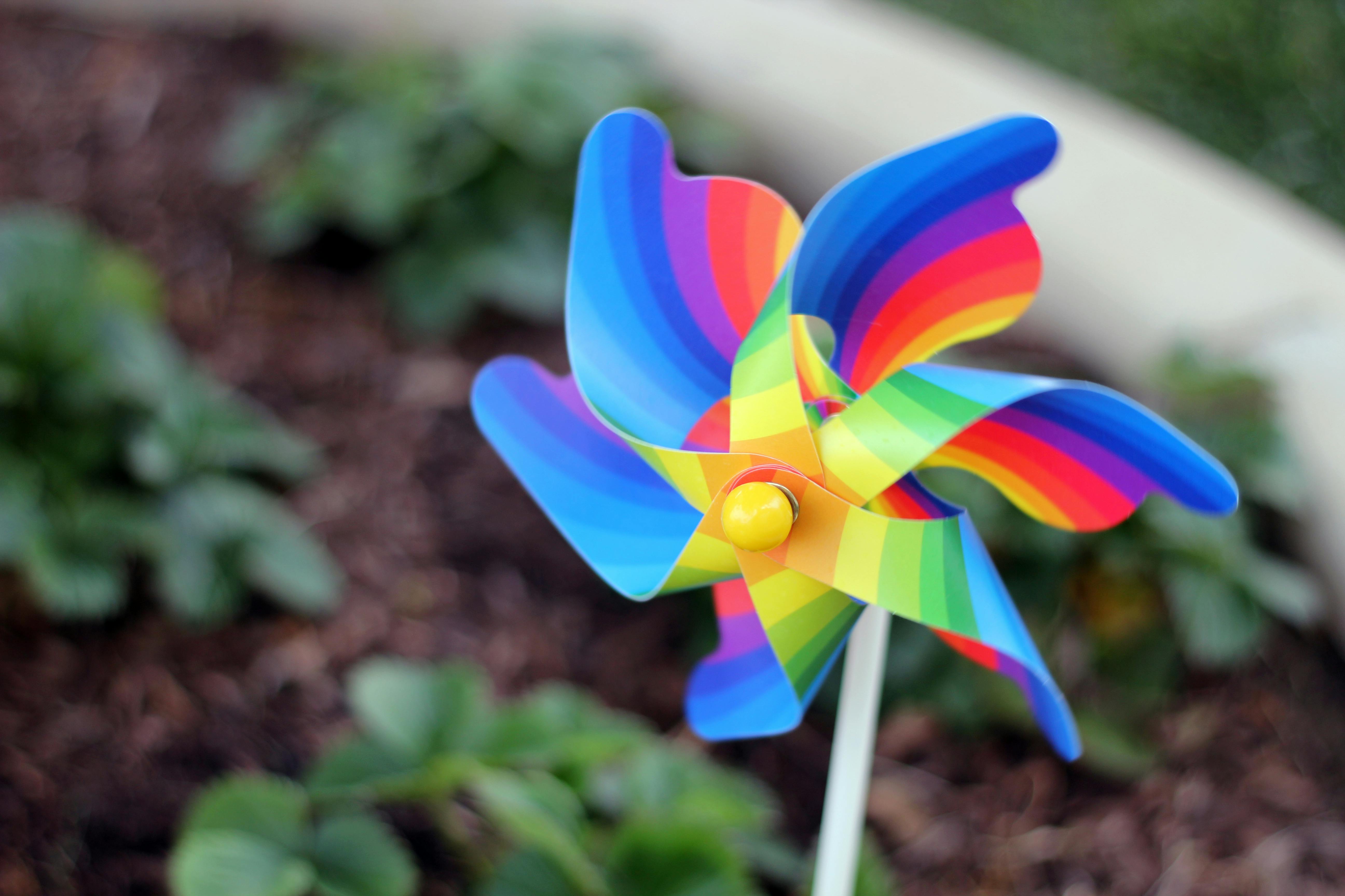 Free stock photo of pinwheel