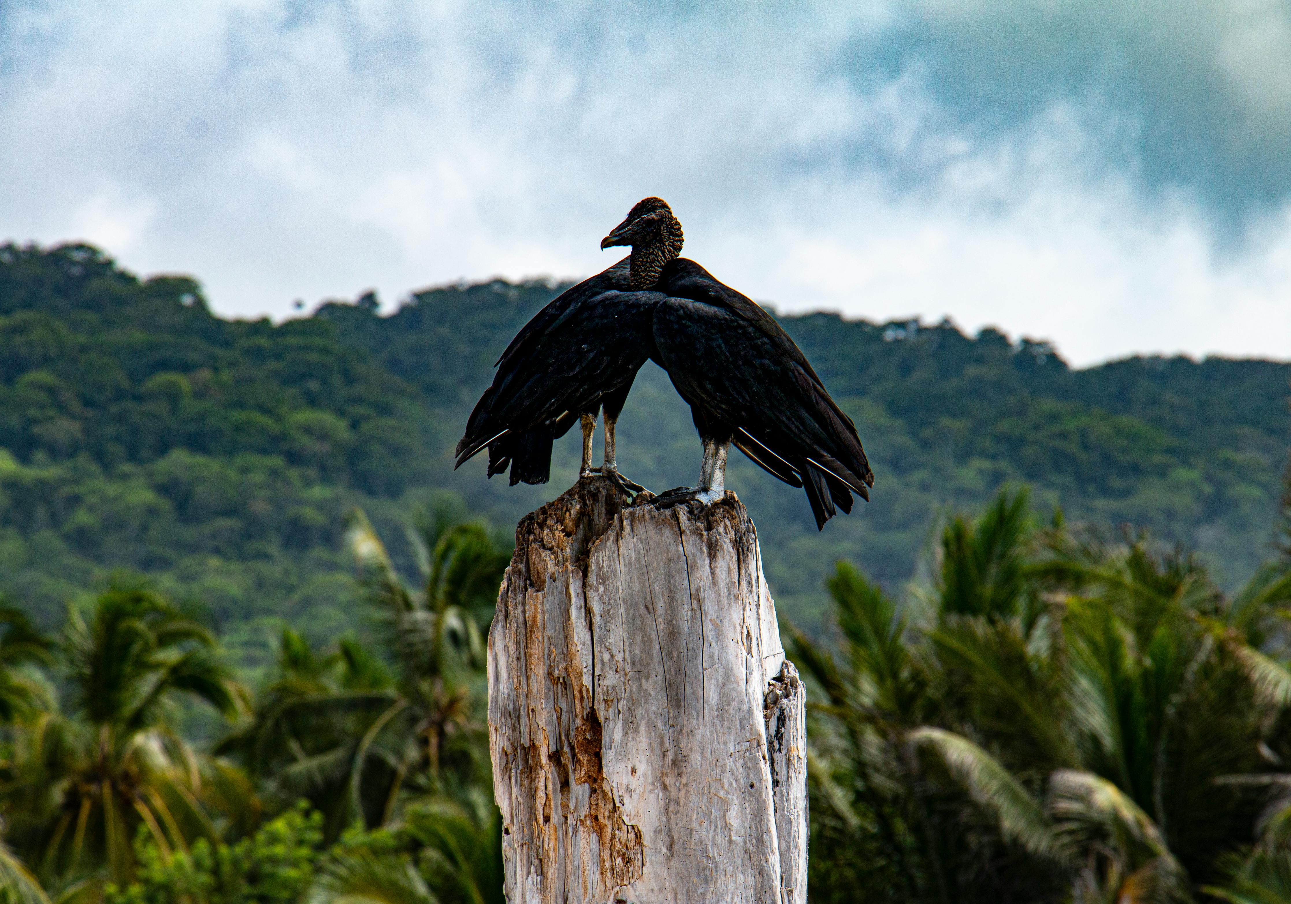 Jairo Vargas - Fotografie