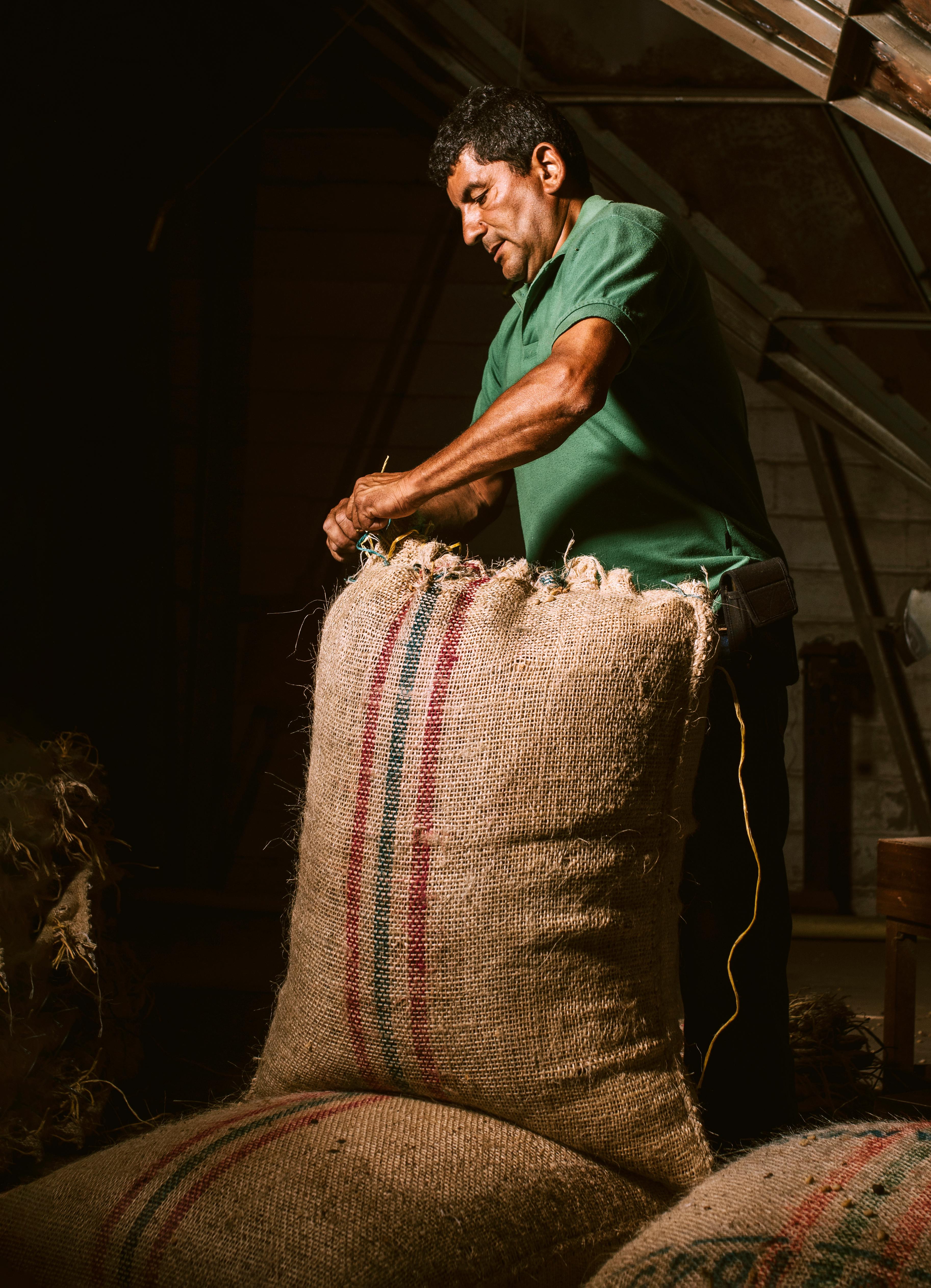 Man Packing Food into Large Bags · Free Stock Photo