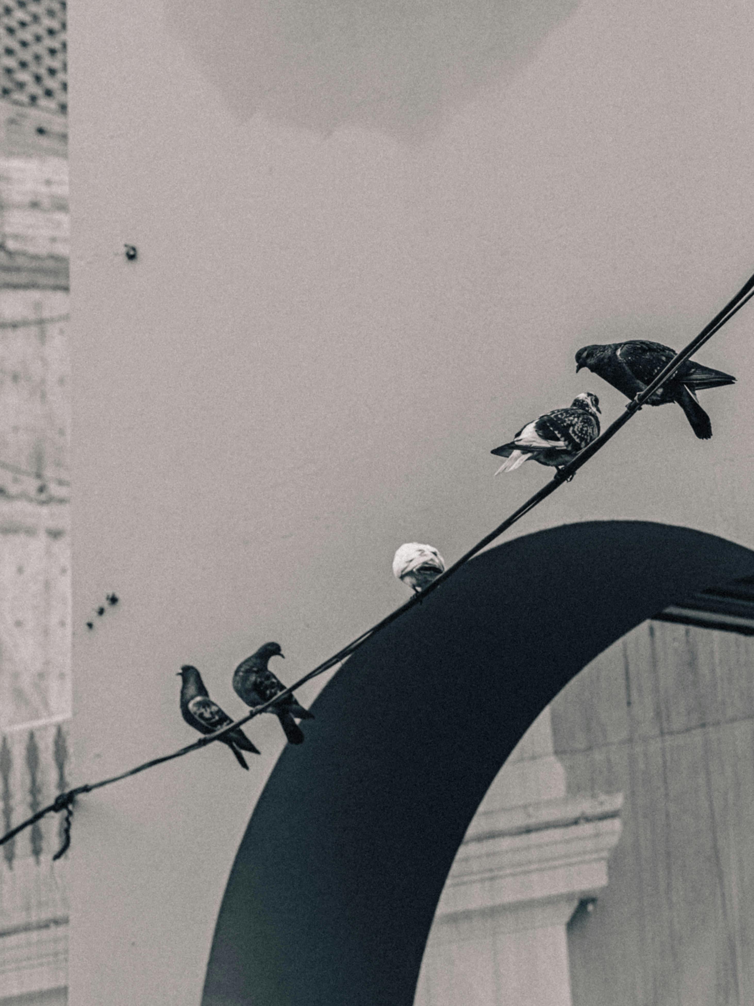 Lower Line Photos, Download The BEST Free Lower Line Stock Photos & HD ...