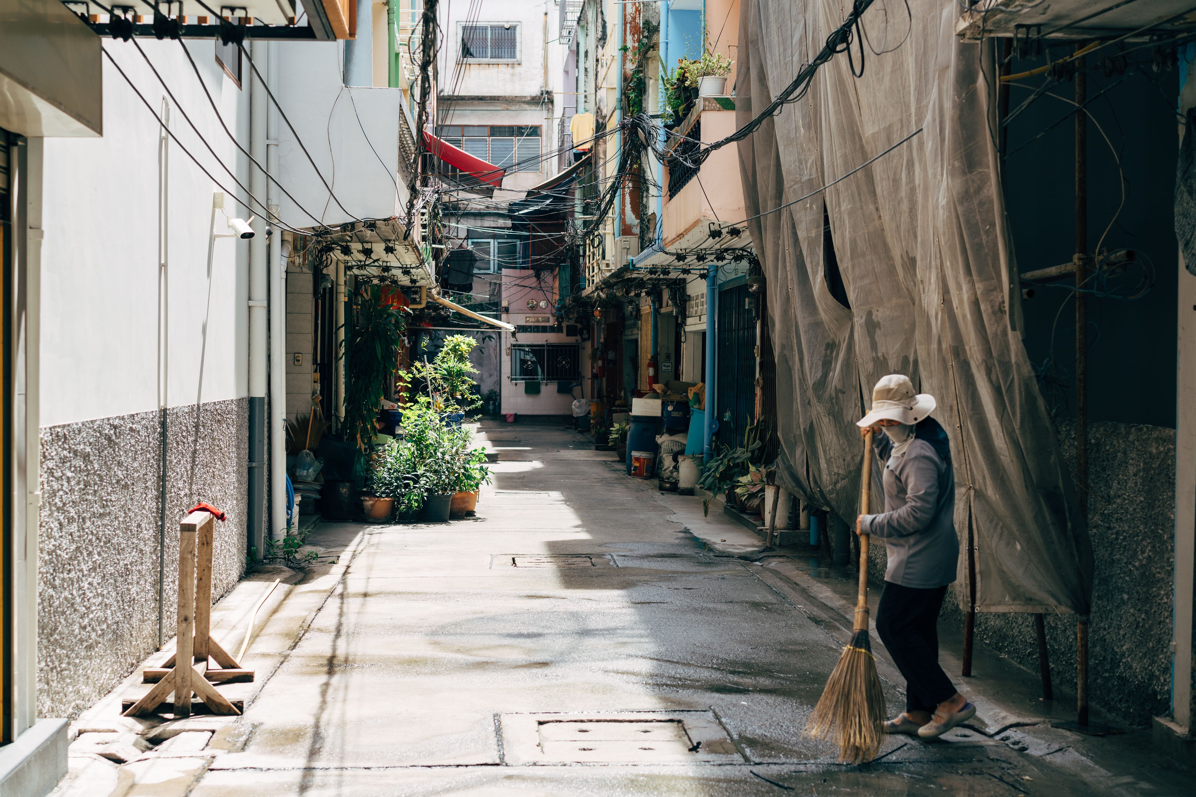 Man Sweeping the Pathway Between Trees · Free Stock Photo
