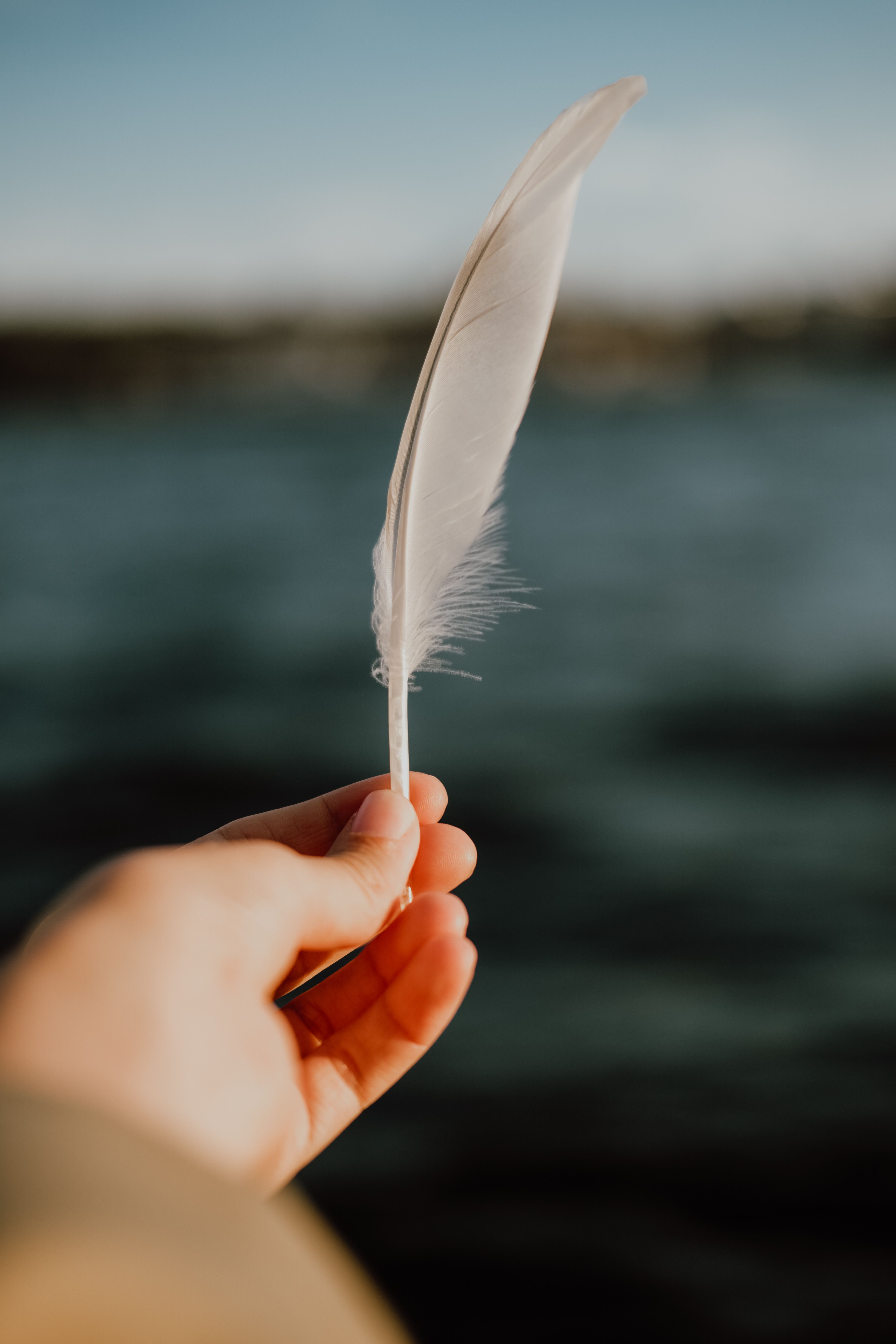 Person Holding White Feather · Free Stock Photo