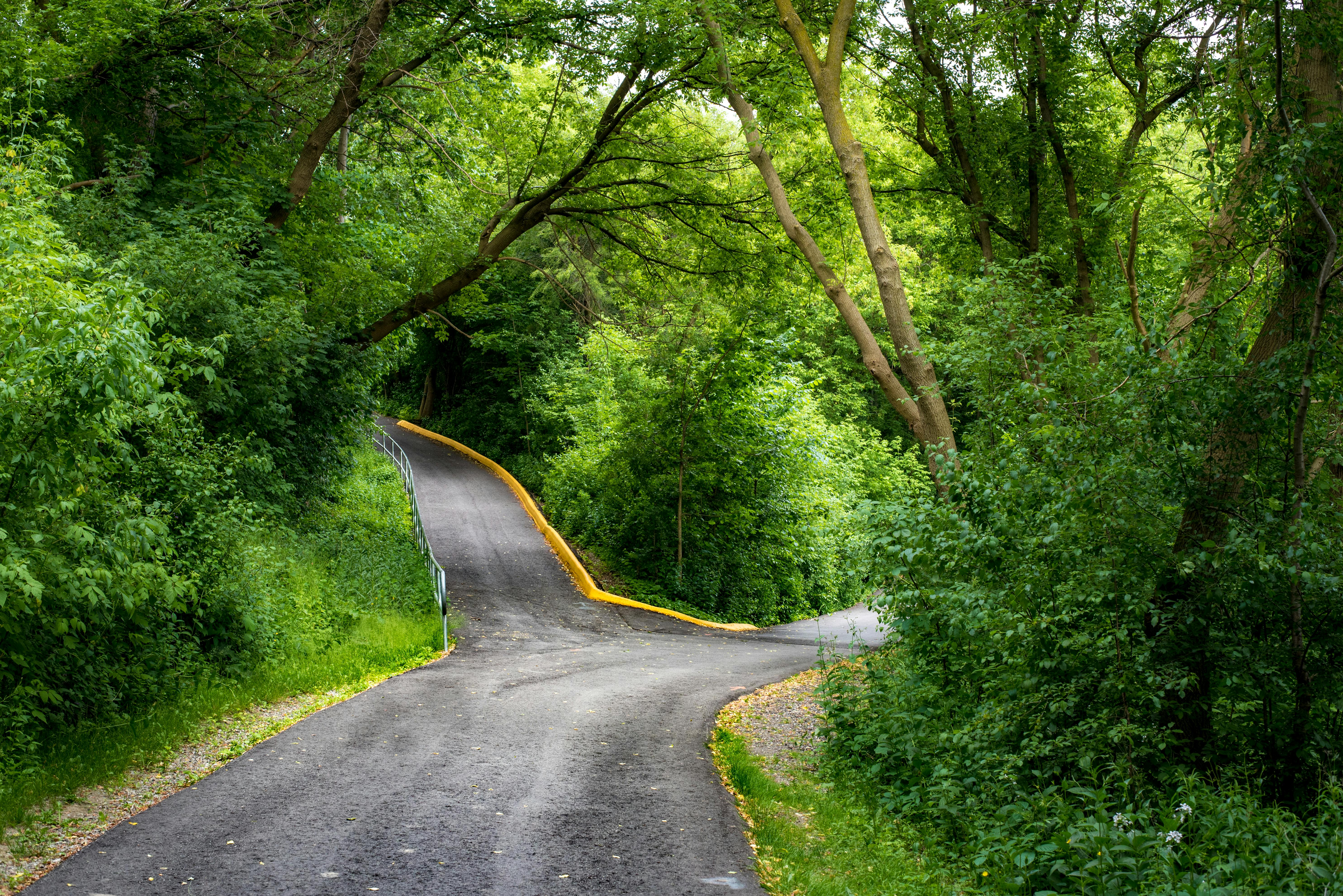 Ivan Torres · Photography