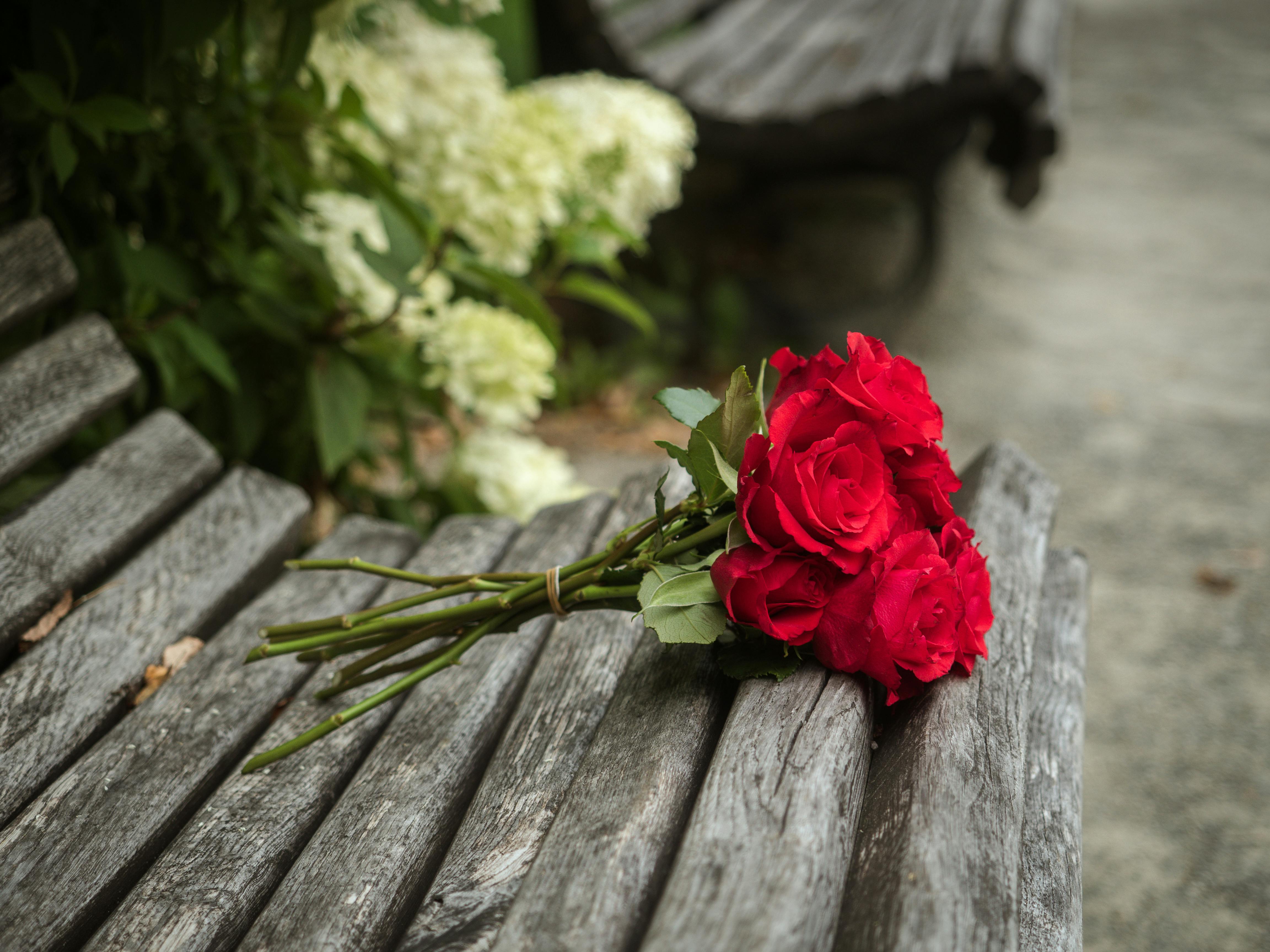 Close-Up Shot of Red Roses on Wooden Bench · Free Stock Photo