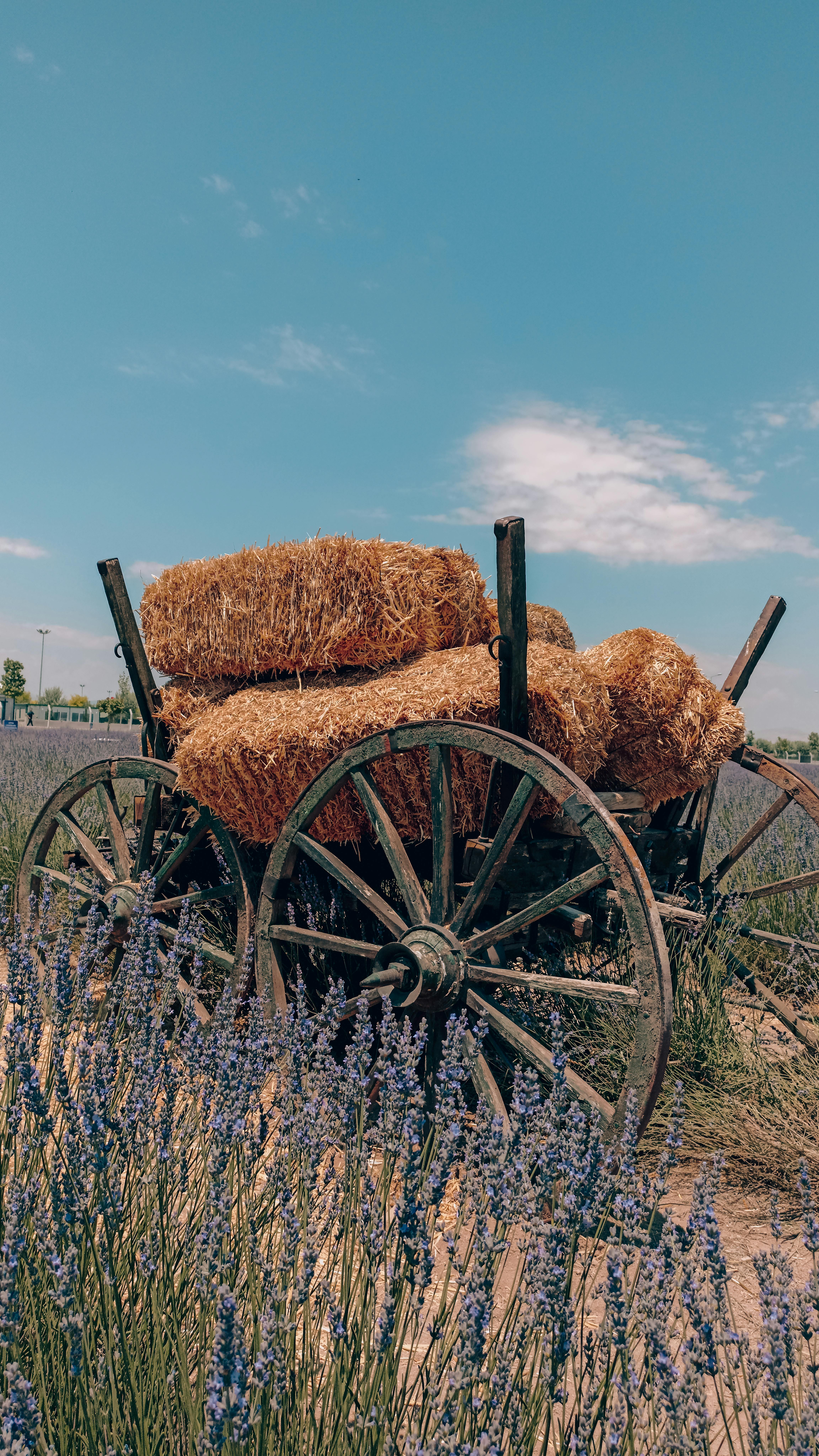 Blocks of Hay on a Wooden Carriage · Free Stock Photo