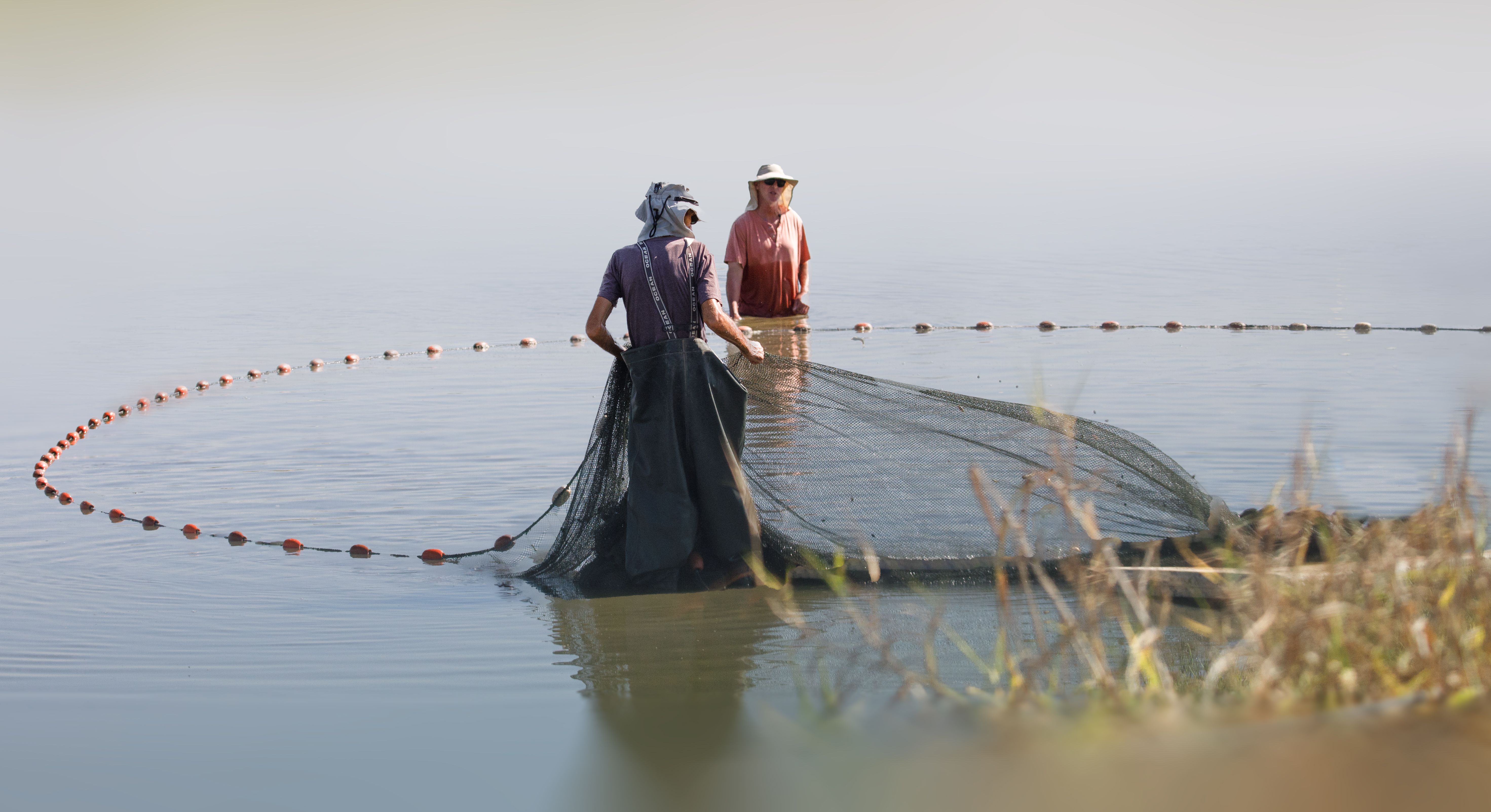 People on Beach with Fishing Net · Free Stock Photo