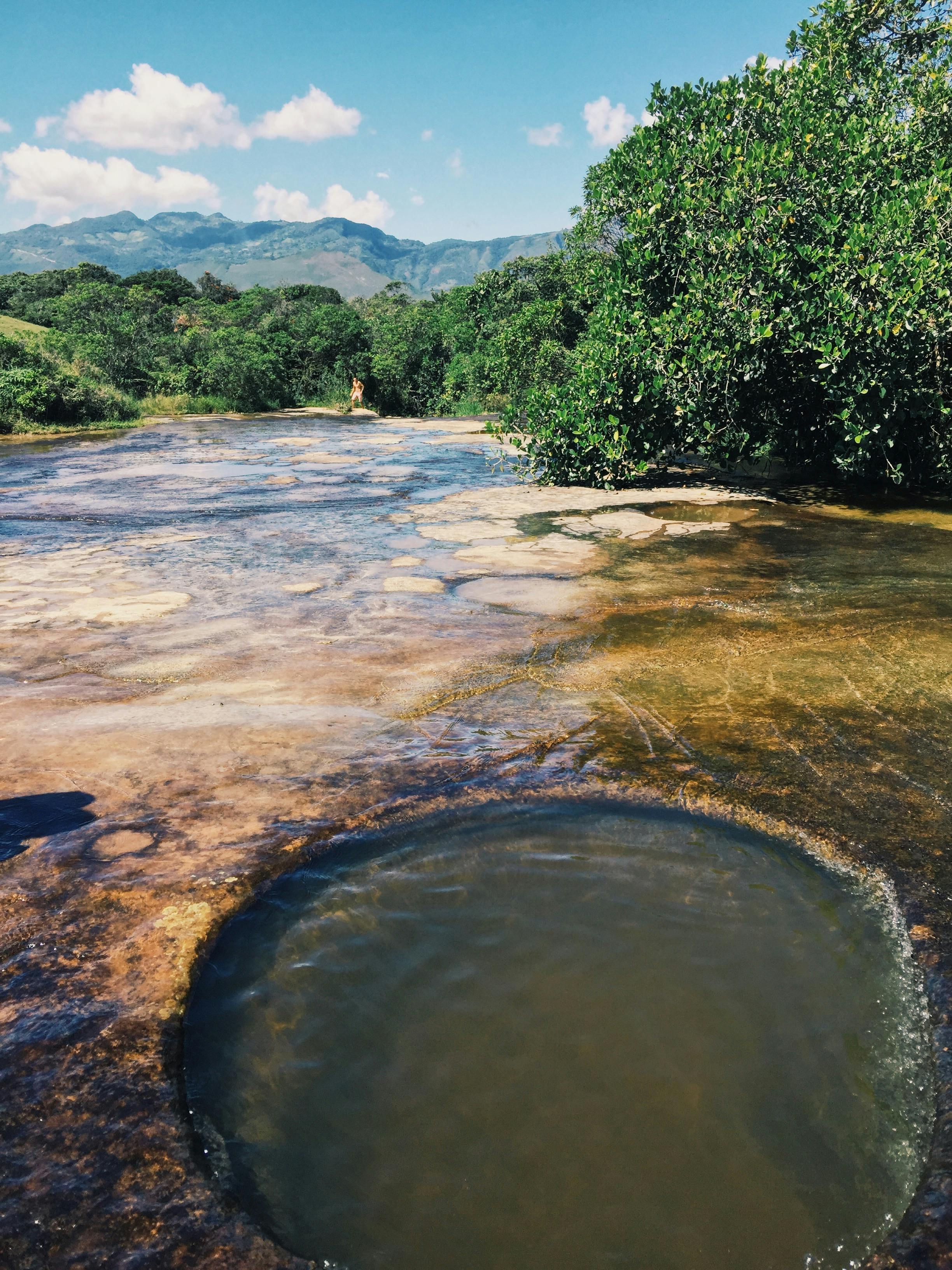 Forest 2mb Photos, Download The BEST Free Forest 2mb Stock Photos & HD ...