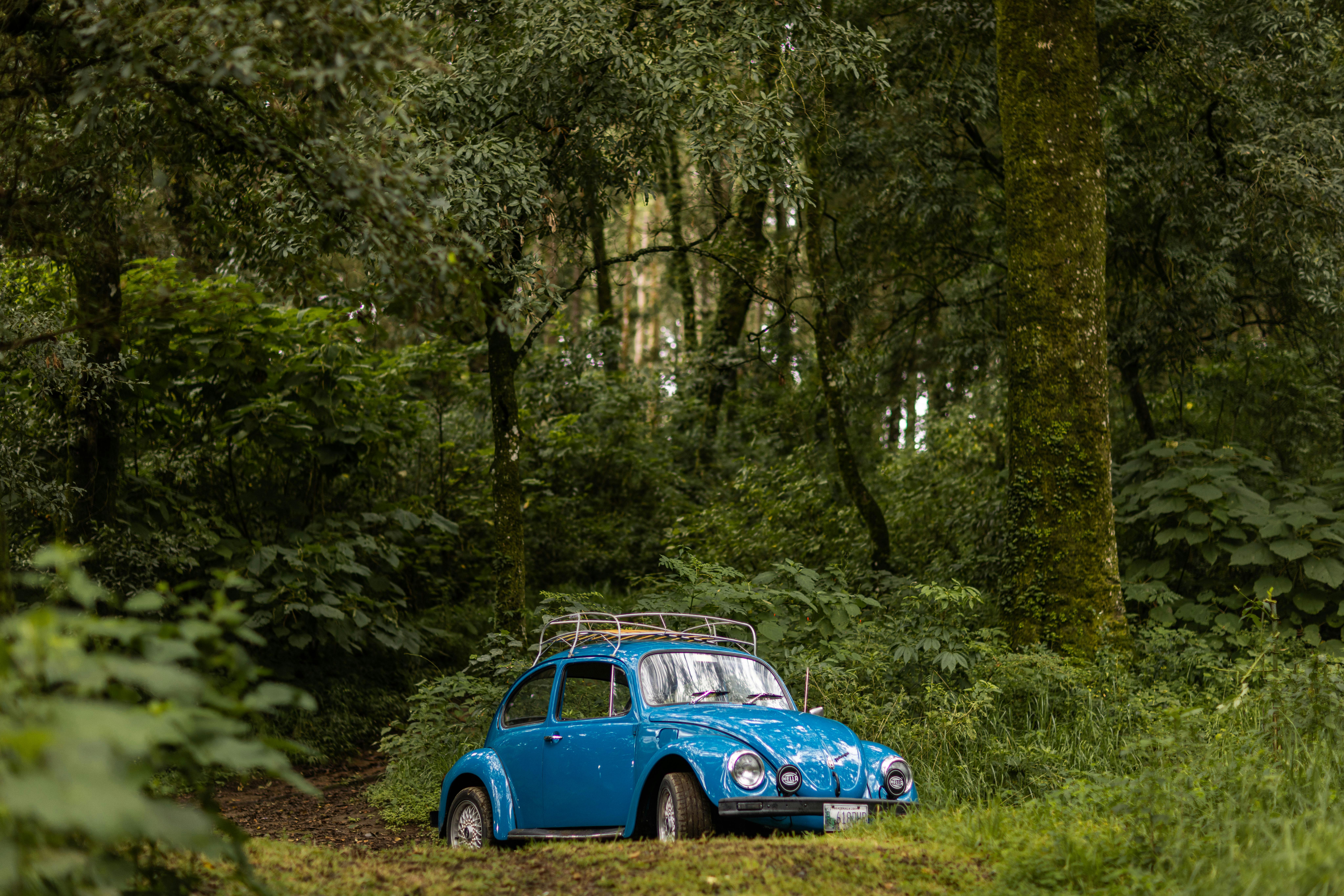 Blue Volkswagen in a Forest · Free Stock Photo