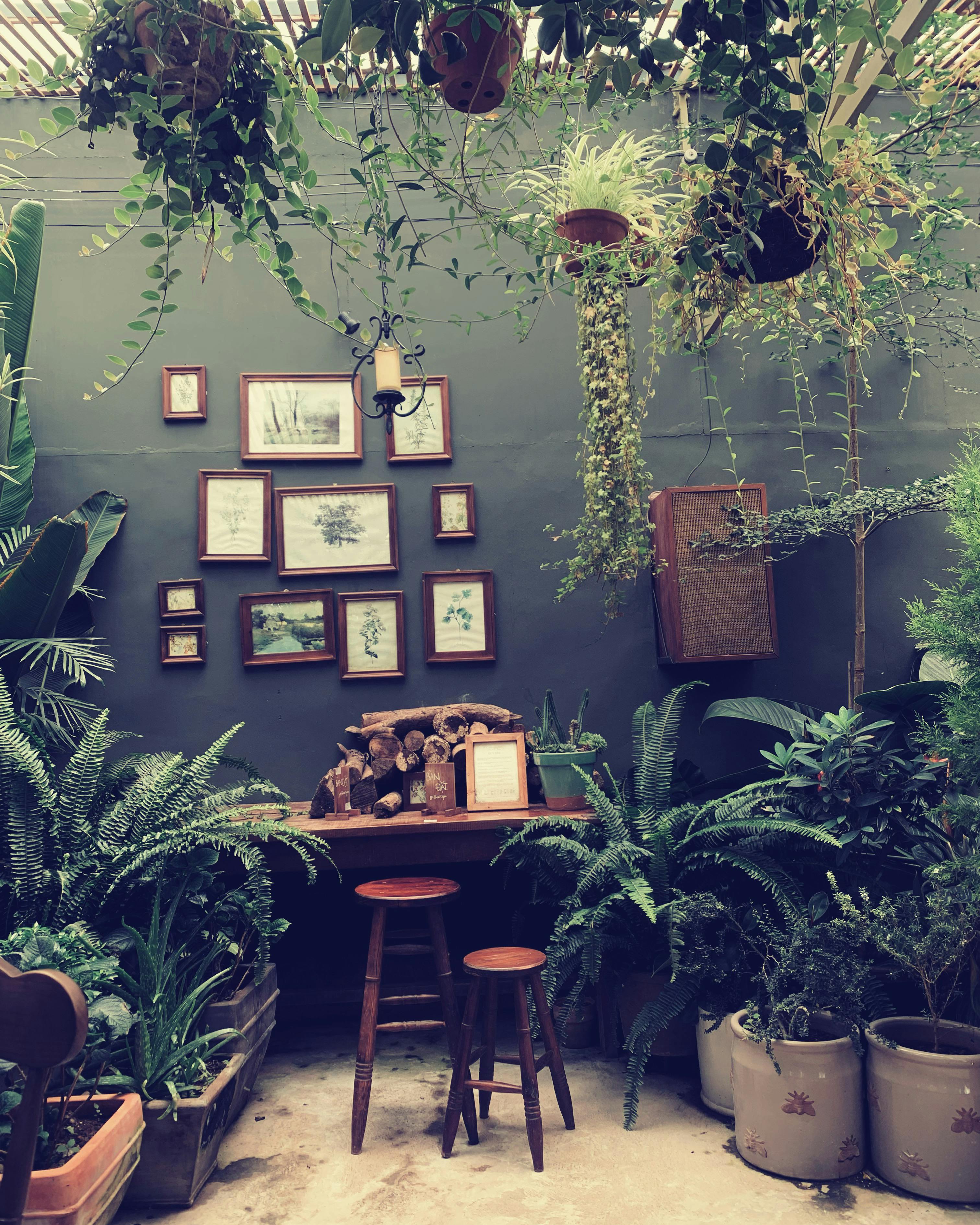 Variety of Plants inside a Building · Free Stock Photo