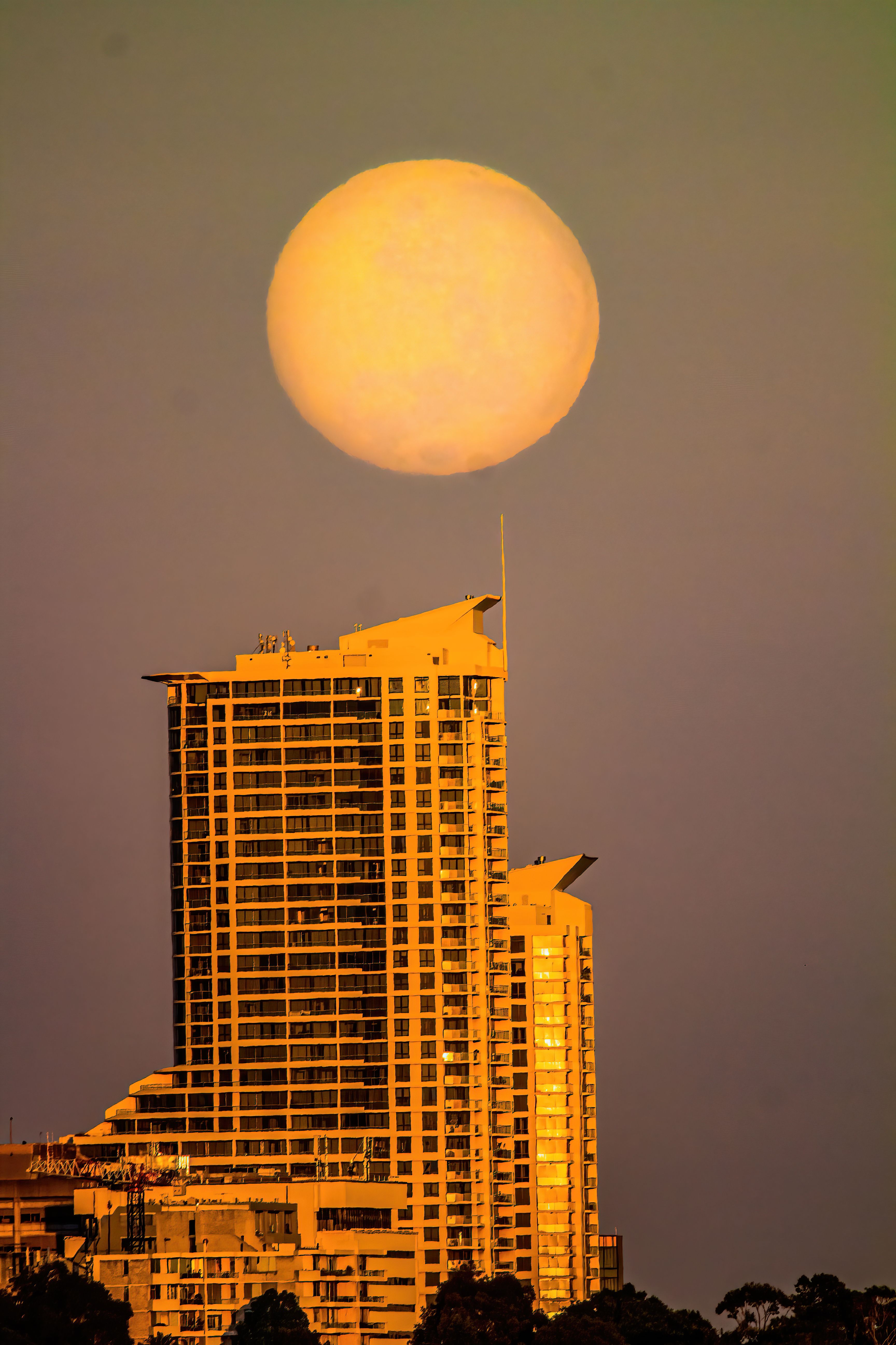 Full Moon in the Sky · Free Stock Photo