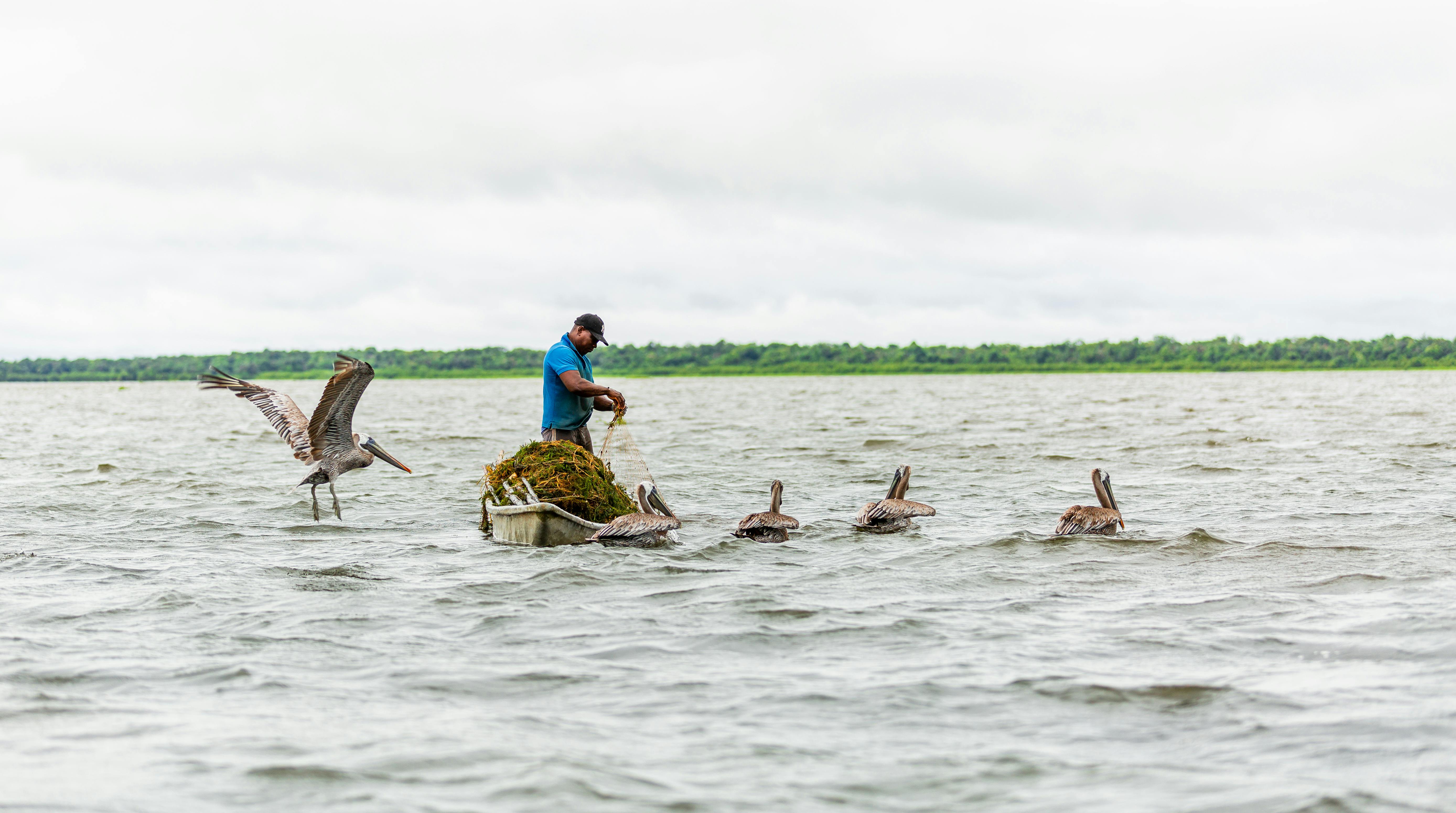 A Fisherman Fishing at the Sea · Free Stock Photo