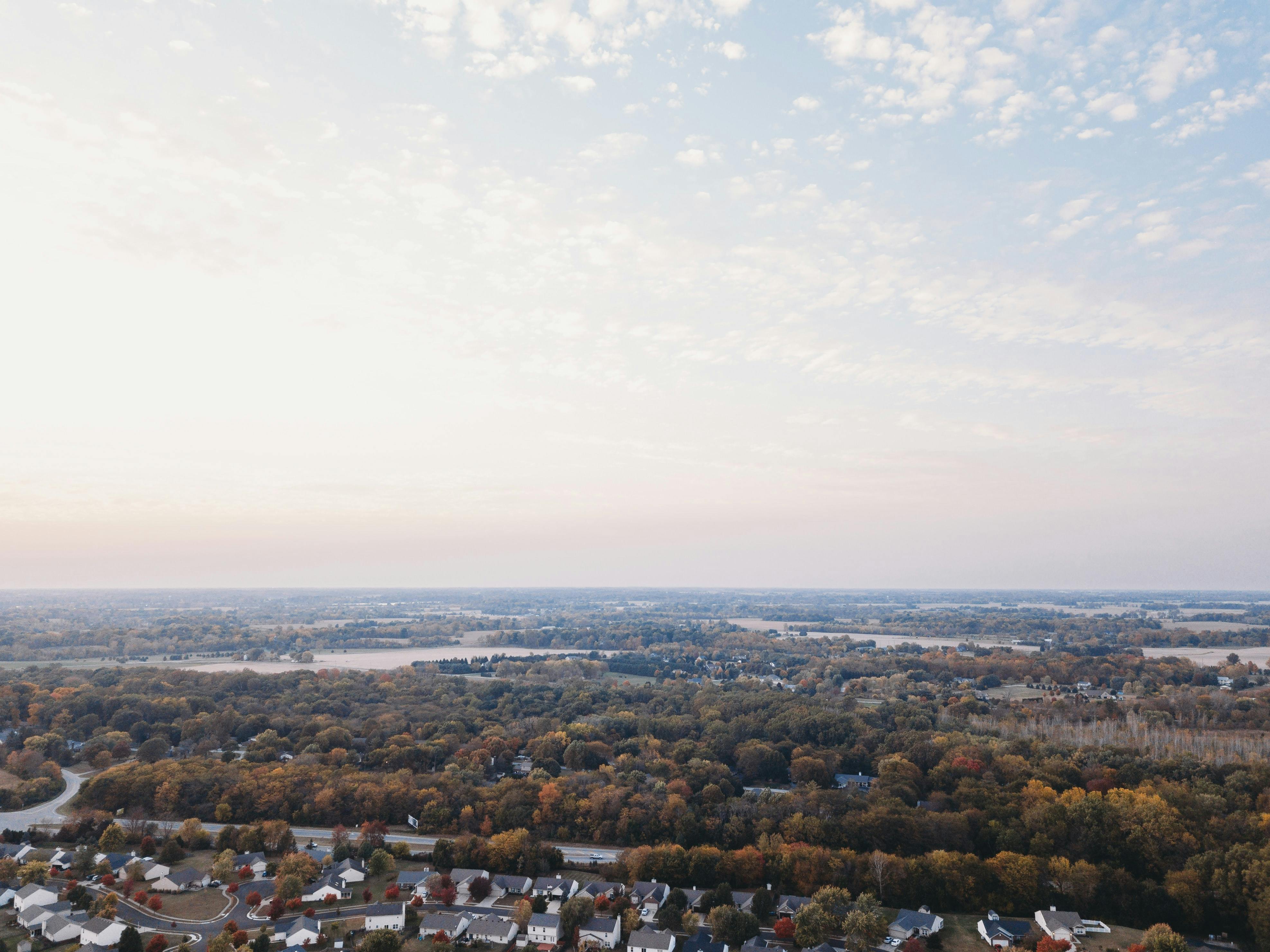 Trees behind Square in Town · Free Stock Photo