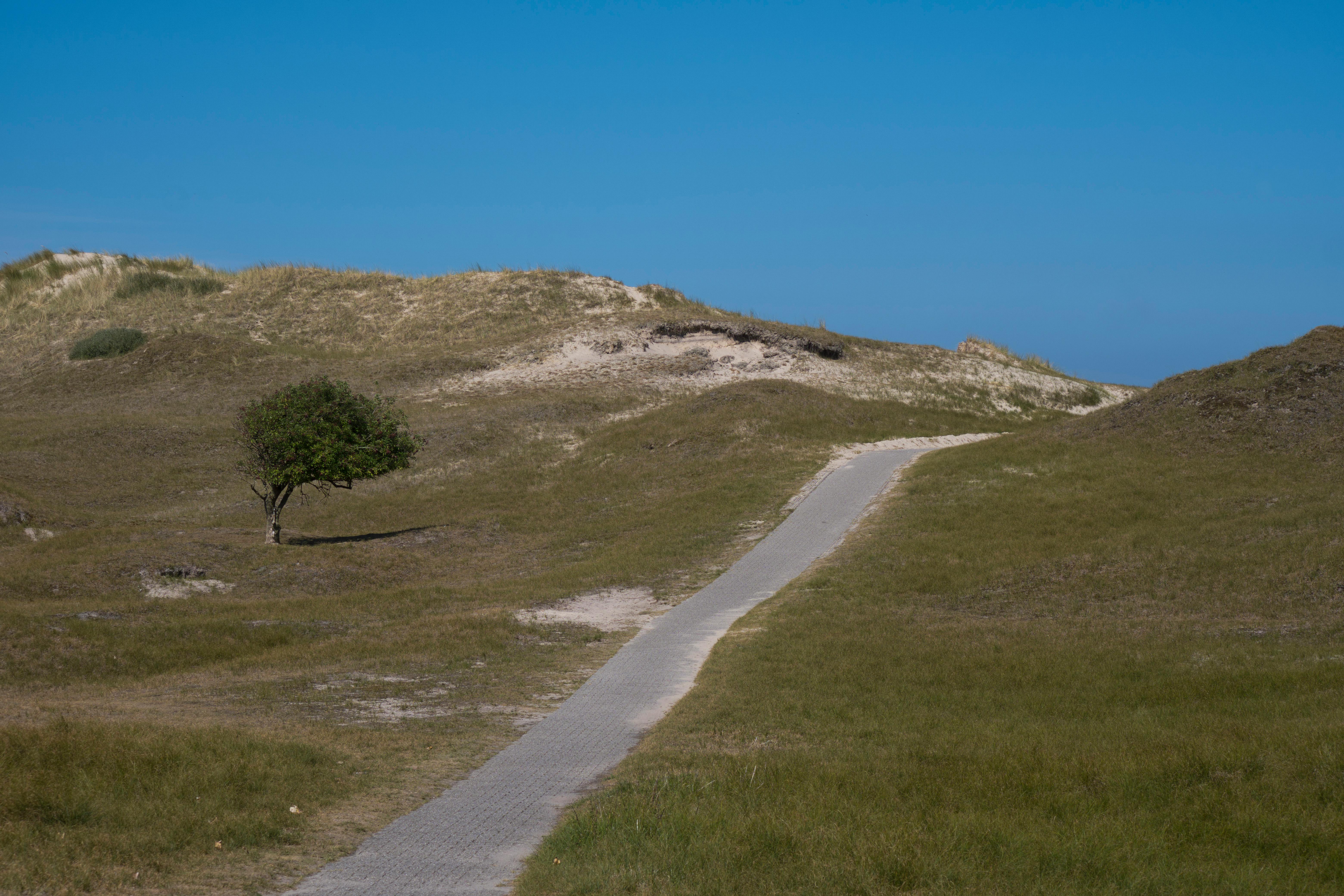 Gray Pathway Between Green Grass Field Under Blue Sky · Free Stock Photo