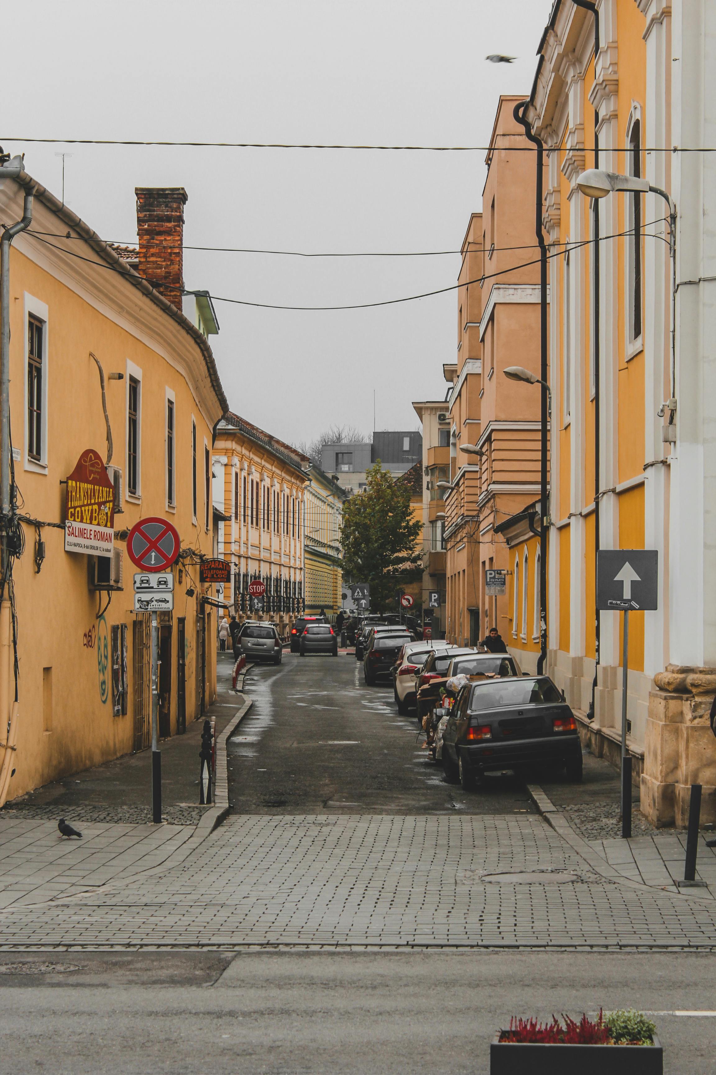 Transylvania Photos, Download The BEST Free Transylvania Stock Photos ...