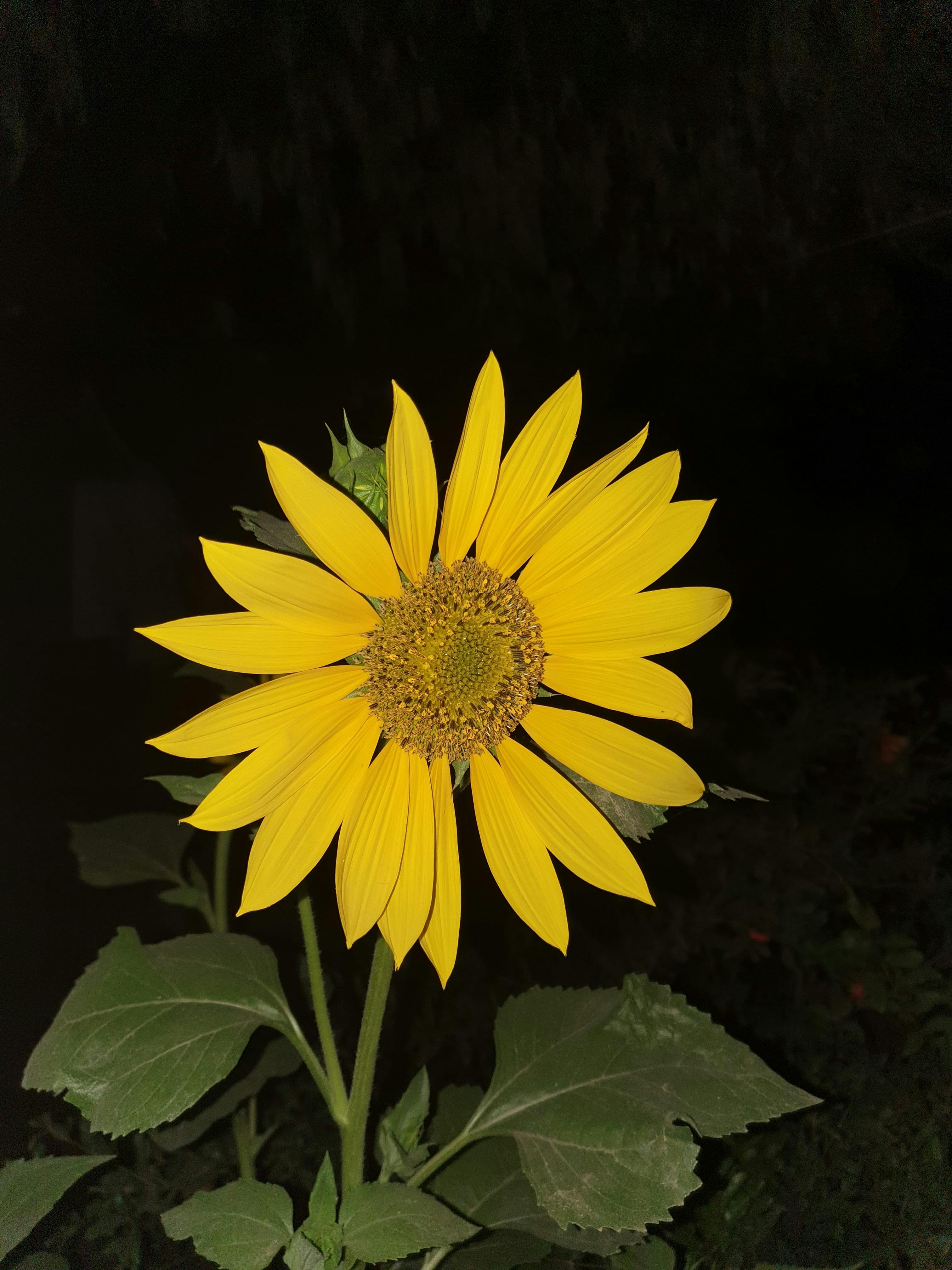 Zee Shan - Photography