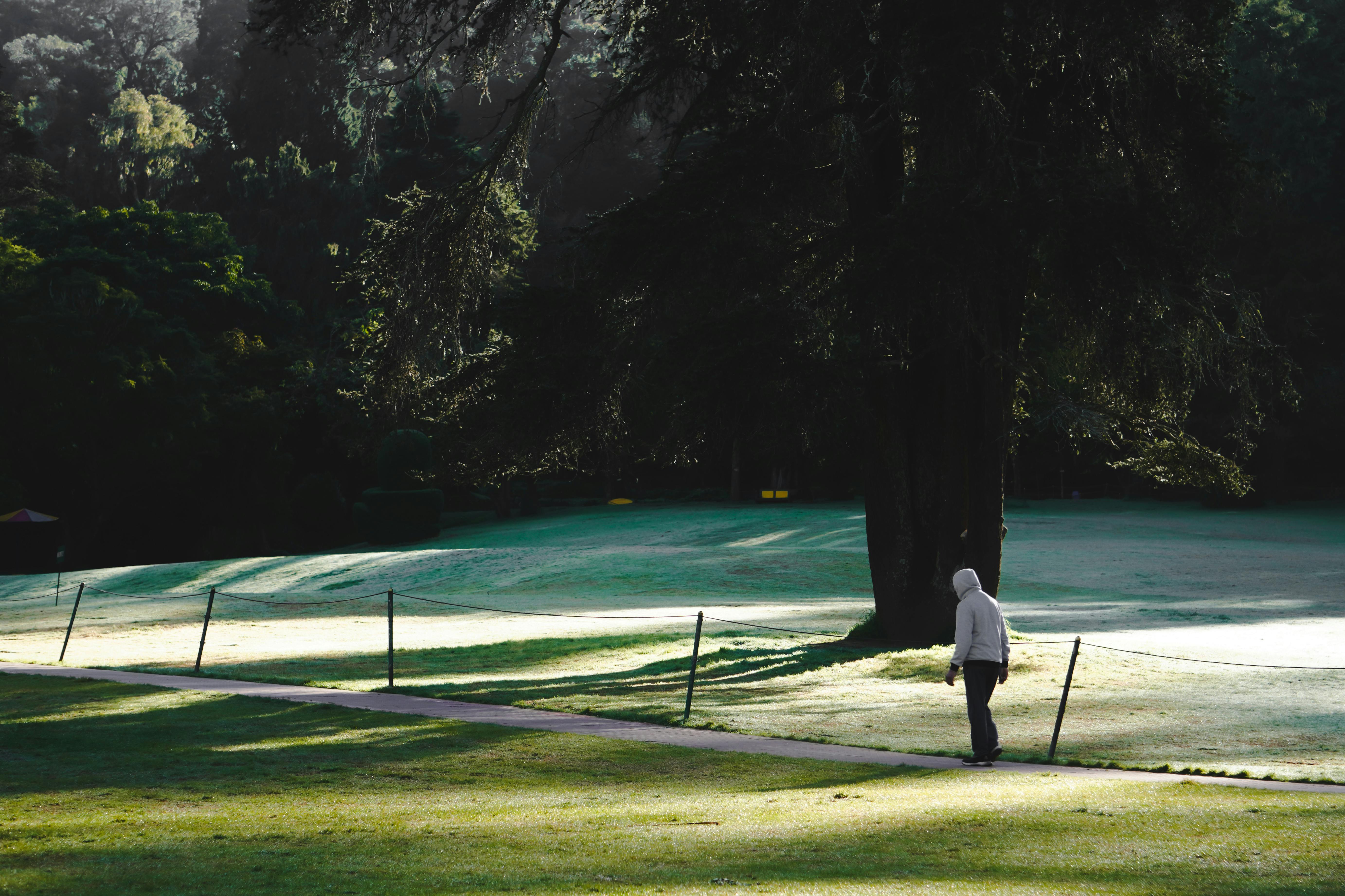 A Person Walking on the Park · Free Stock Photo
