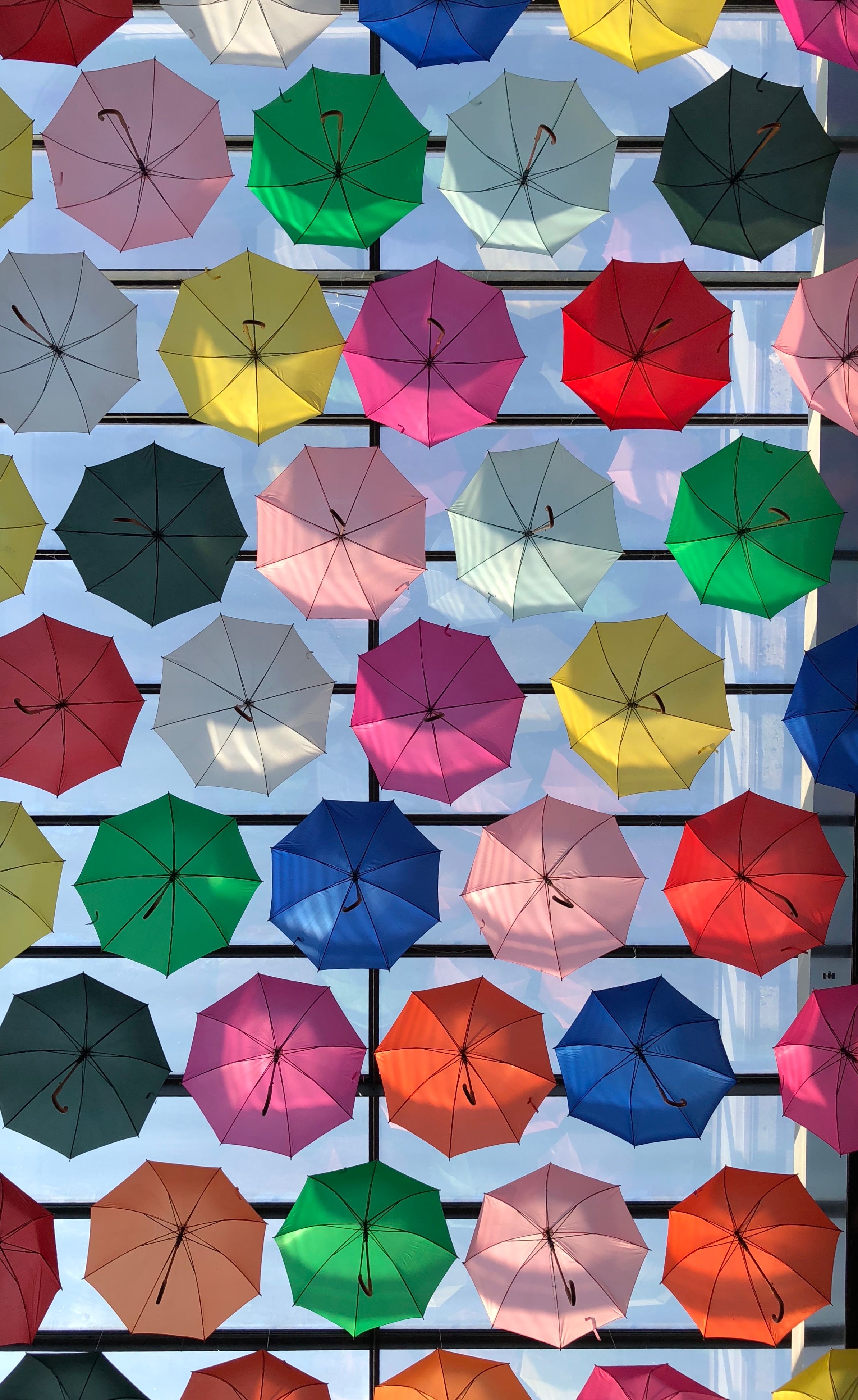 Umbrellas Hanging on the Street · Free Stock Photo