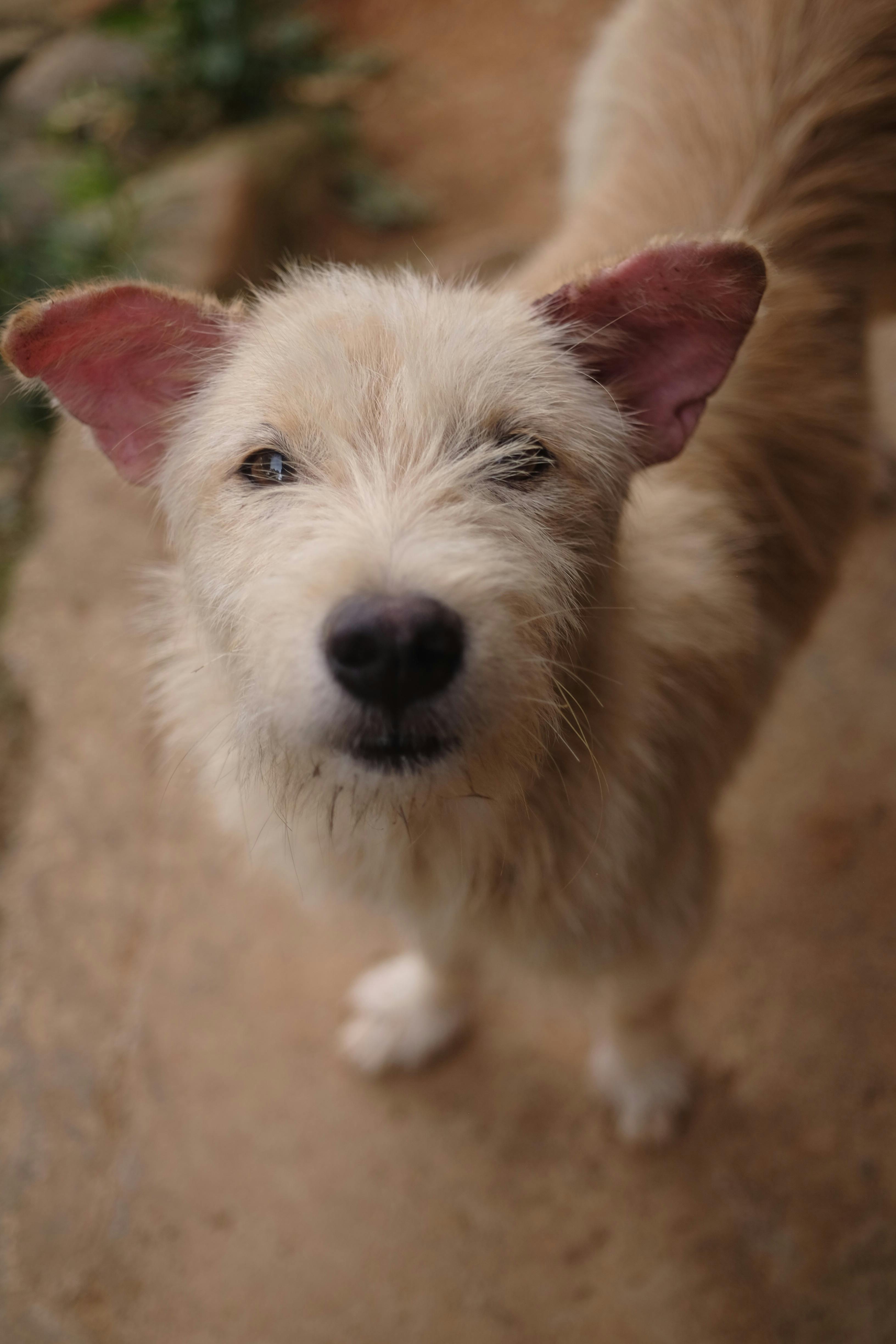 Cute Dia Photos, Download Free Cute Dia Stock Photos & HD Images