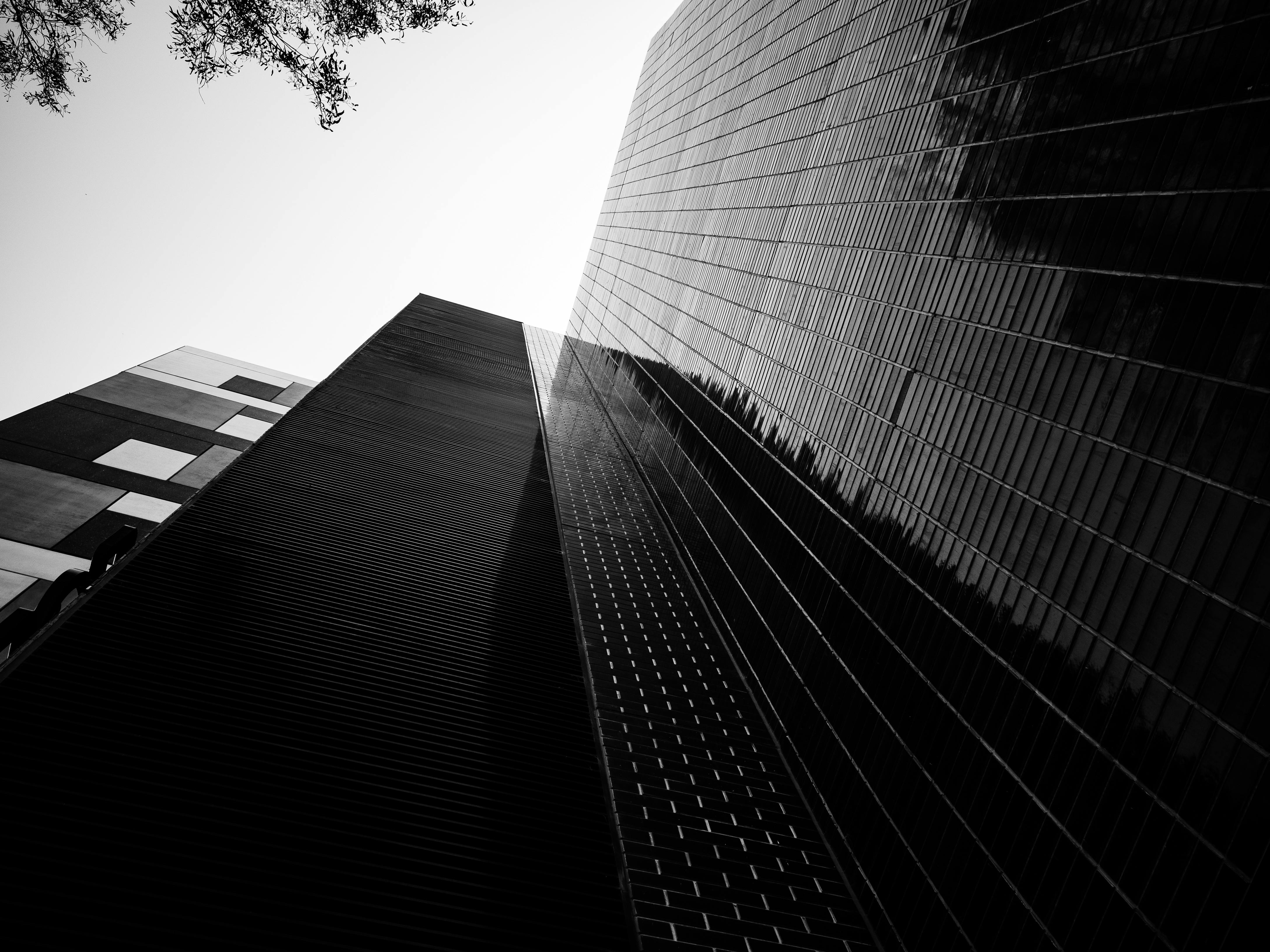 Grayscale Photo of High Rise Building from Below · Free Stock Photo