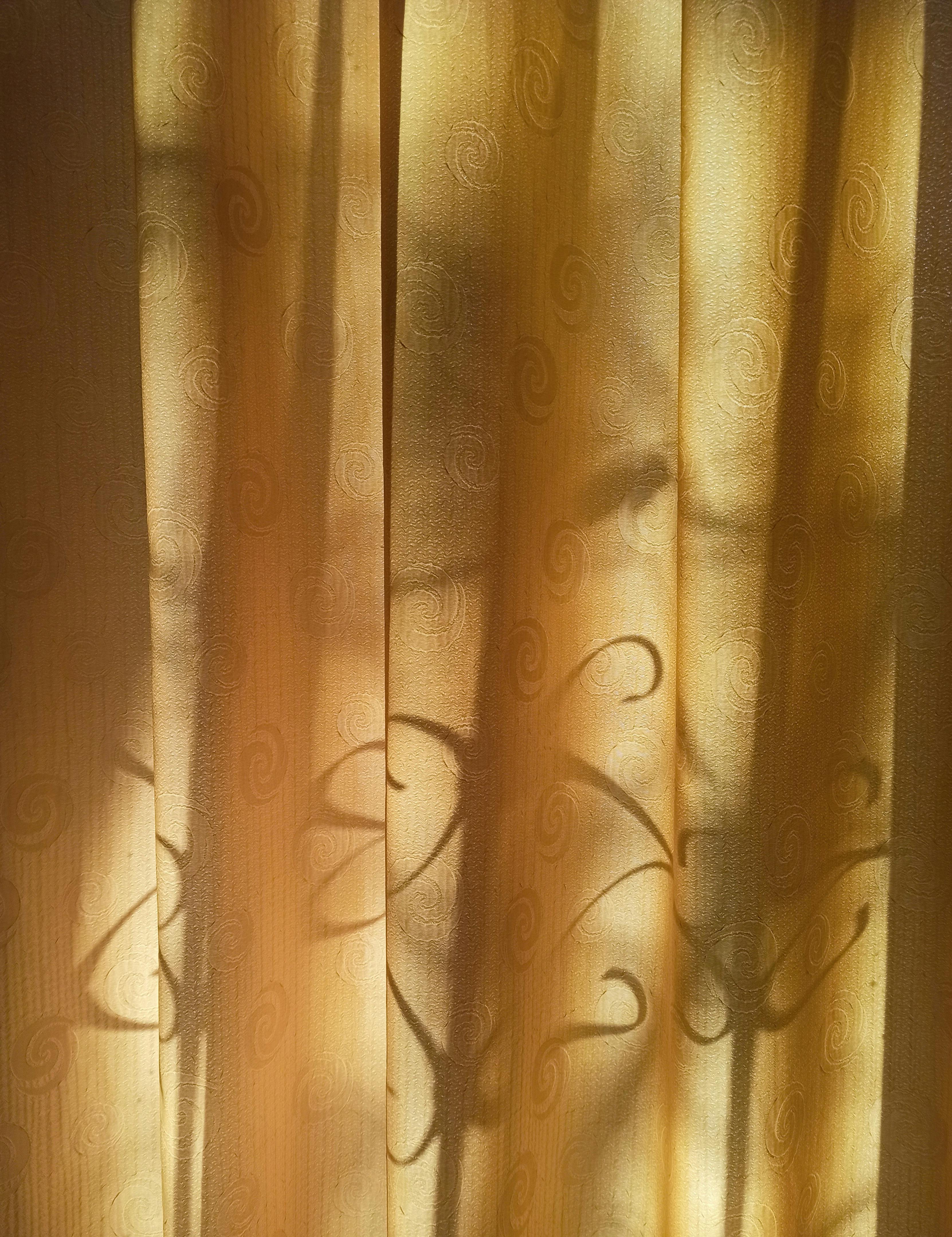 Close-up View of Curtains with Floral Theme · Free Stock Photo