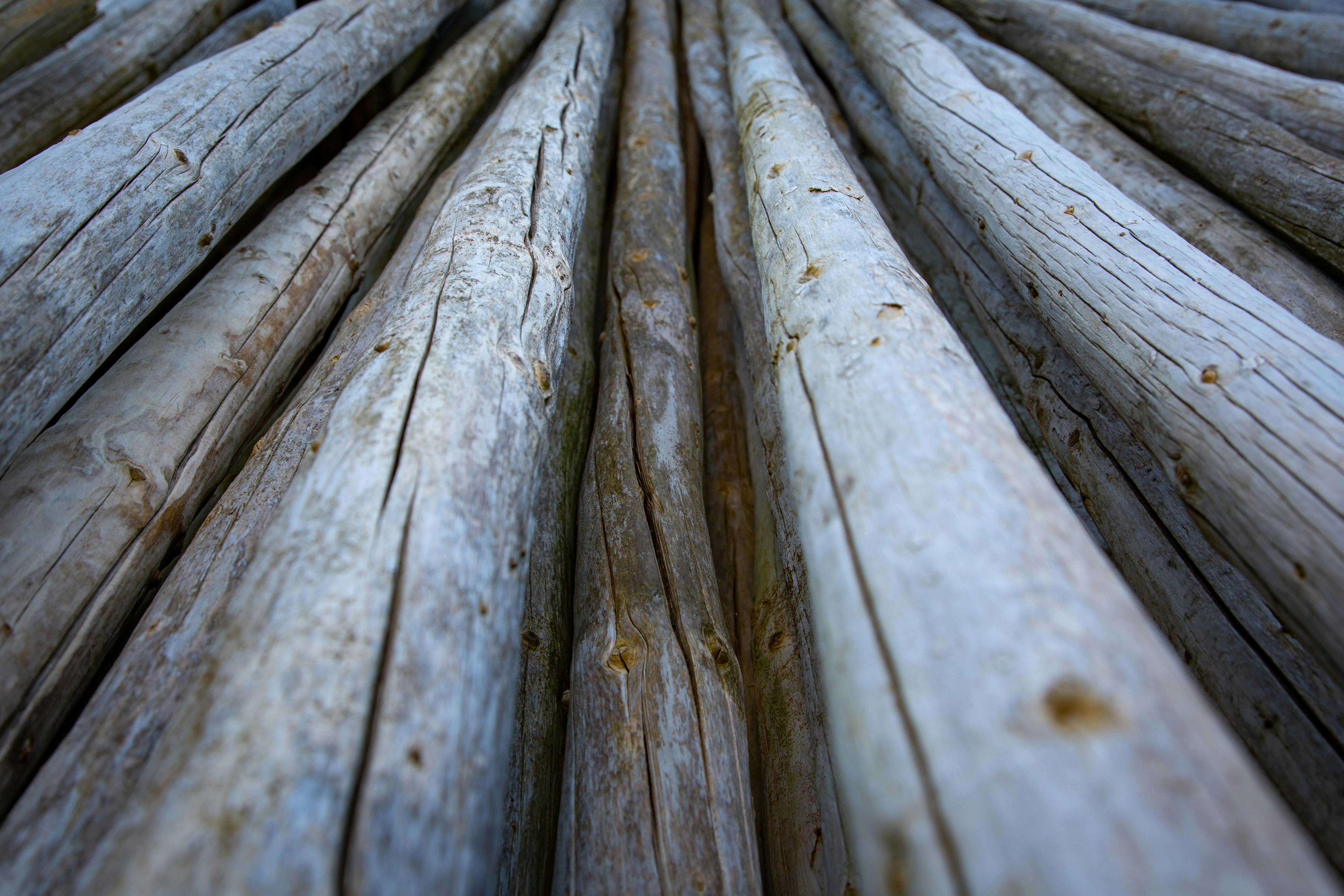 A Close-Up Shot of Wooden Logs · Free Stock Photo
