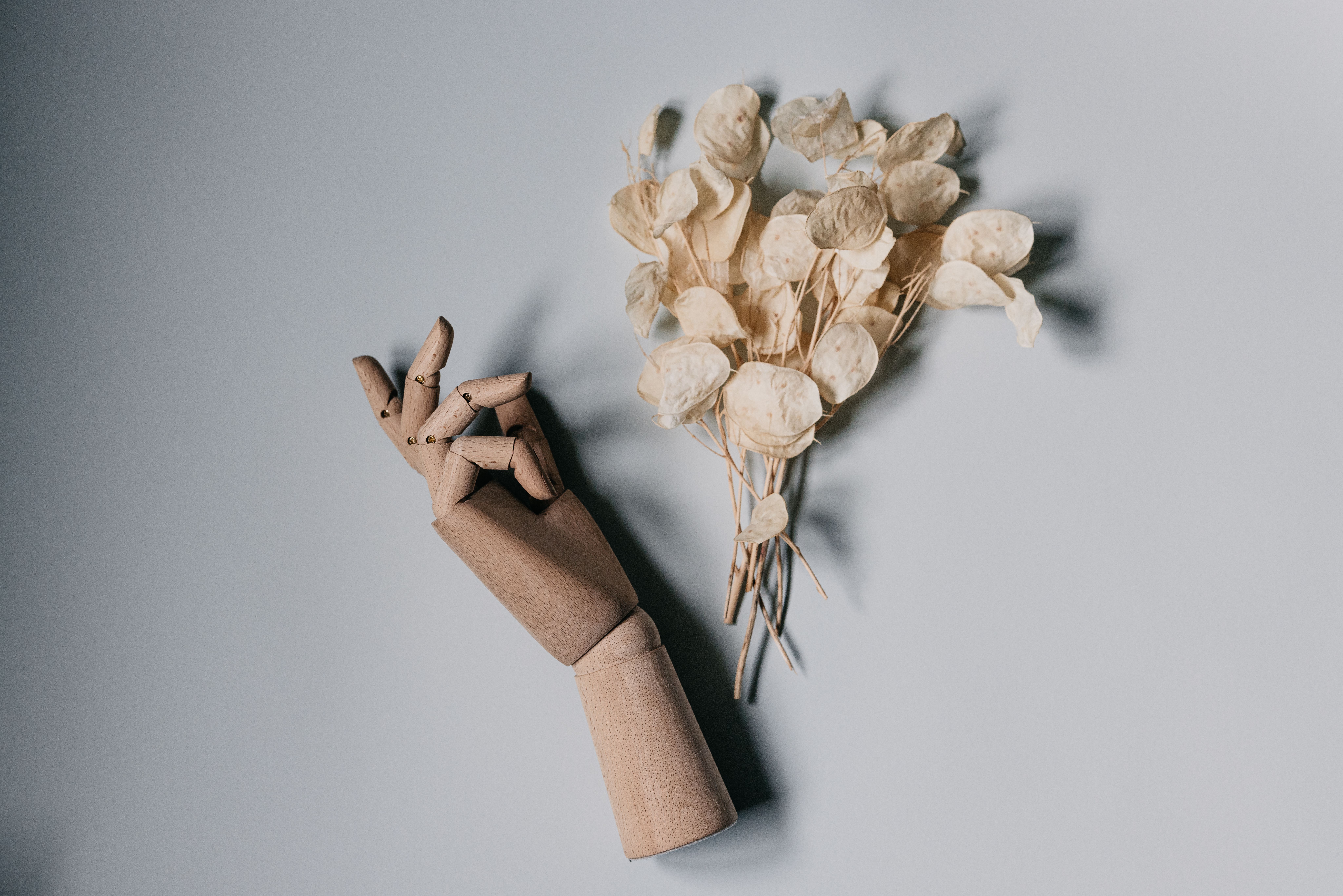 Wooden Hand and a Bunch of Dried Twigs · Free Stock Photo