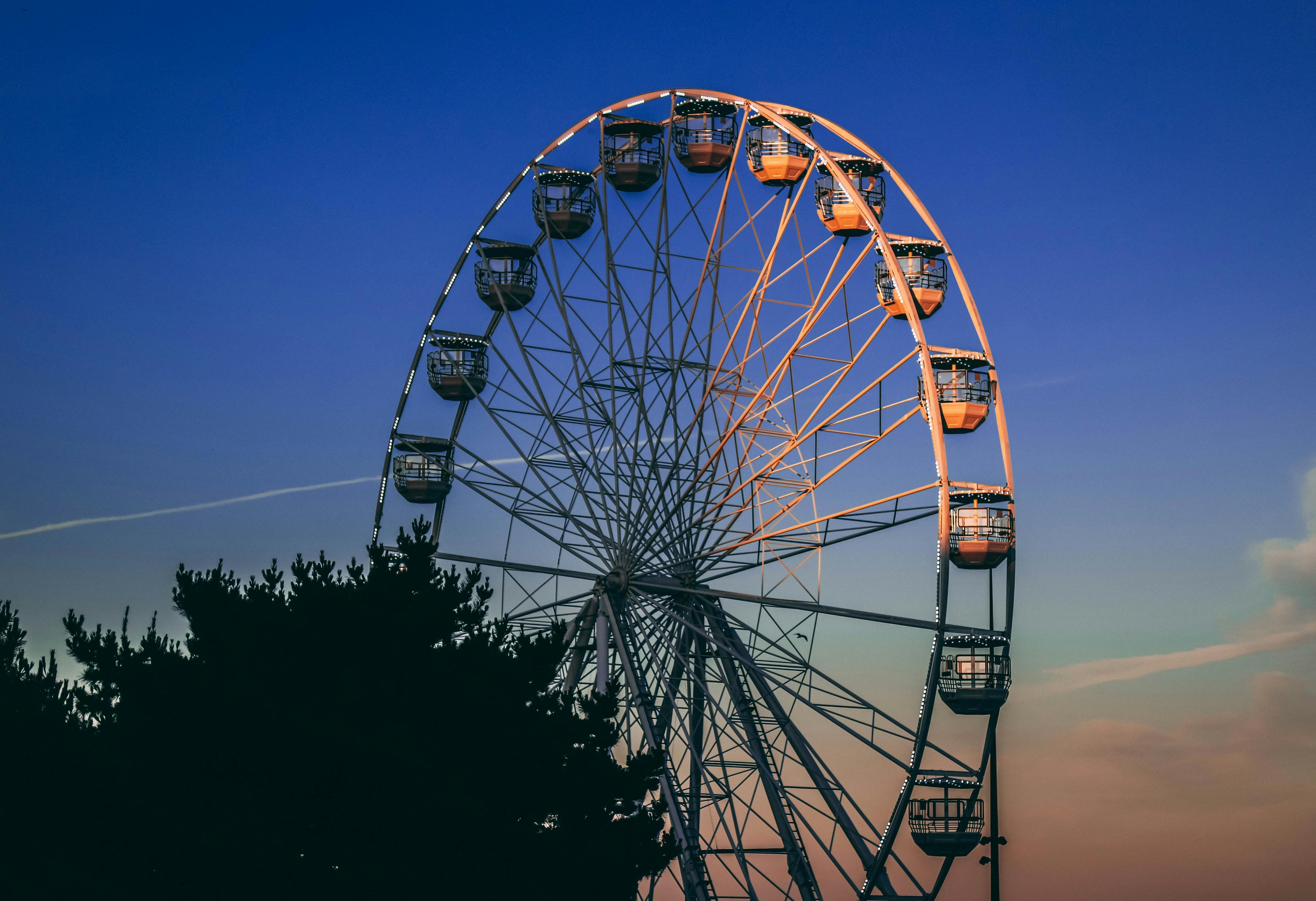 Ferris Wheel Near Tree · Free Stock Photo