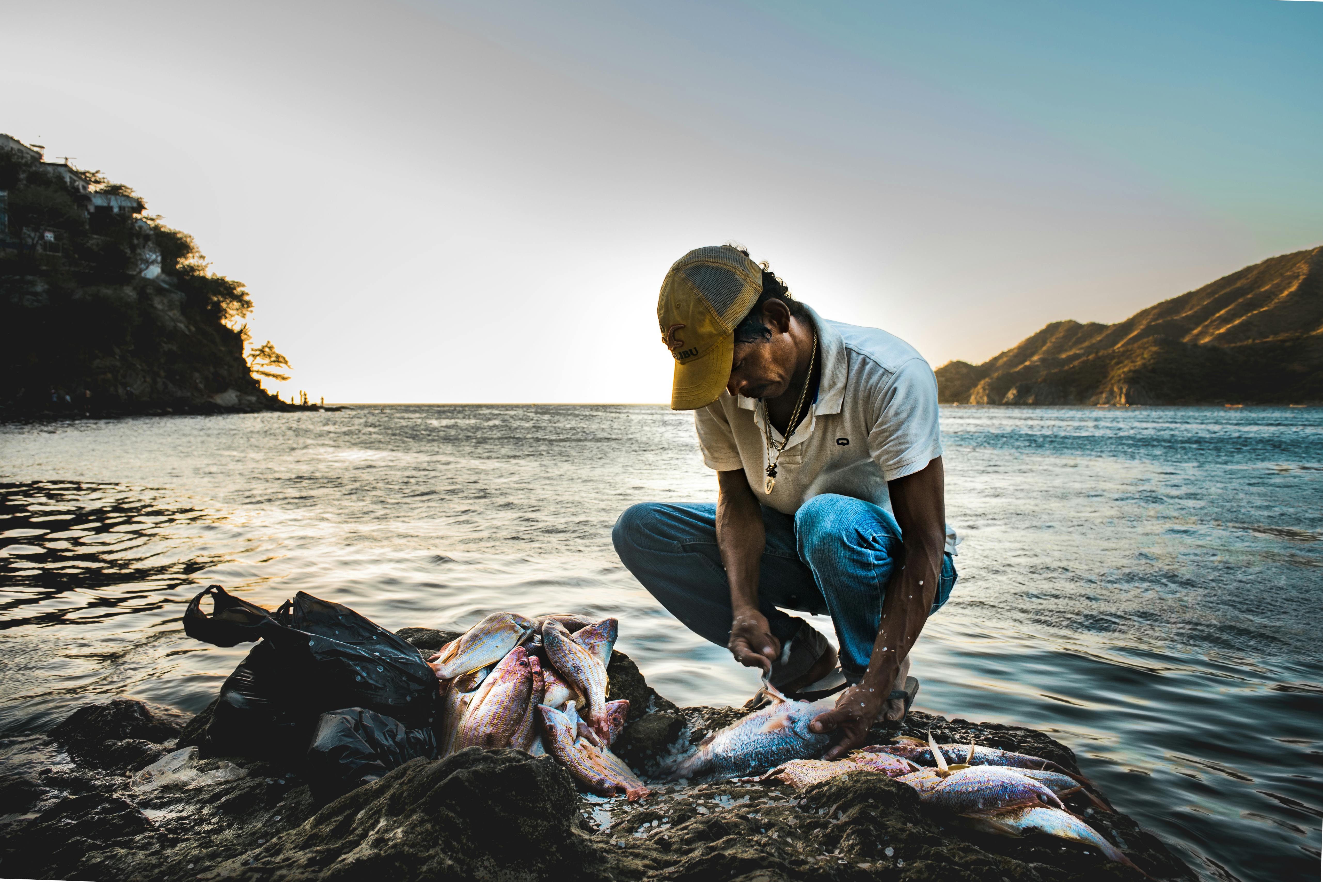 Man Cleaning Fish on Rock Near Body of Water · Free Stock Photo